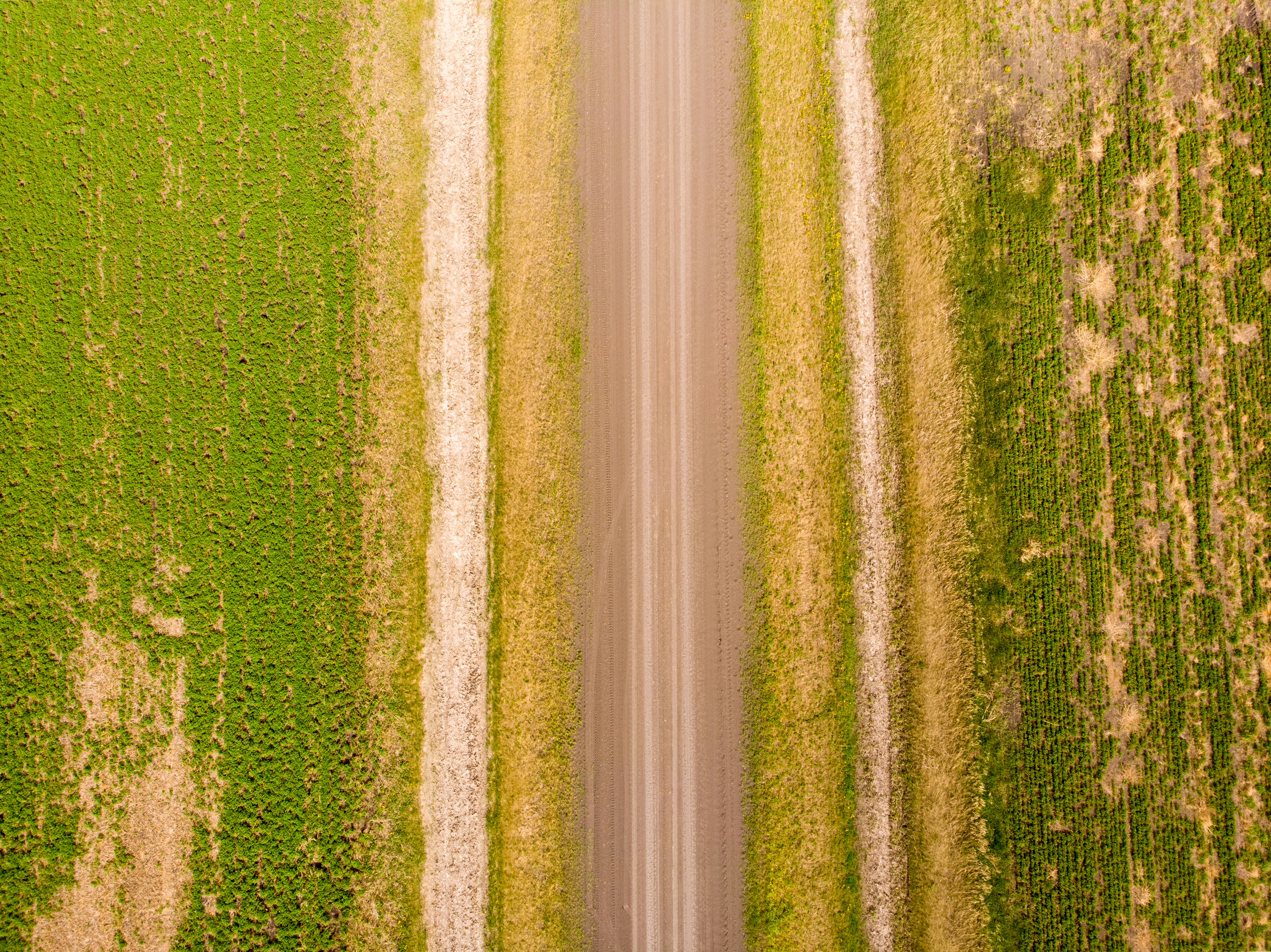Aerial Narrow Corridor: Gravel Road Dividing Tiled Fields