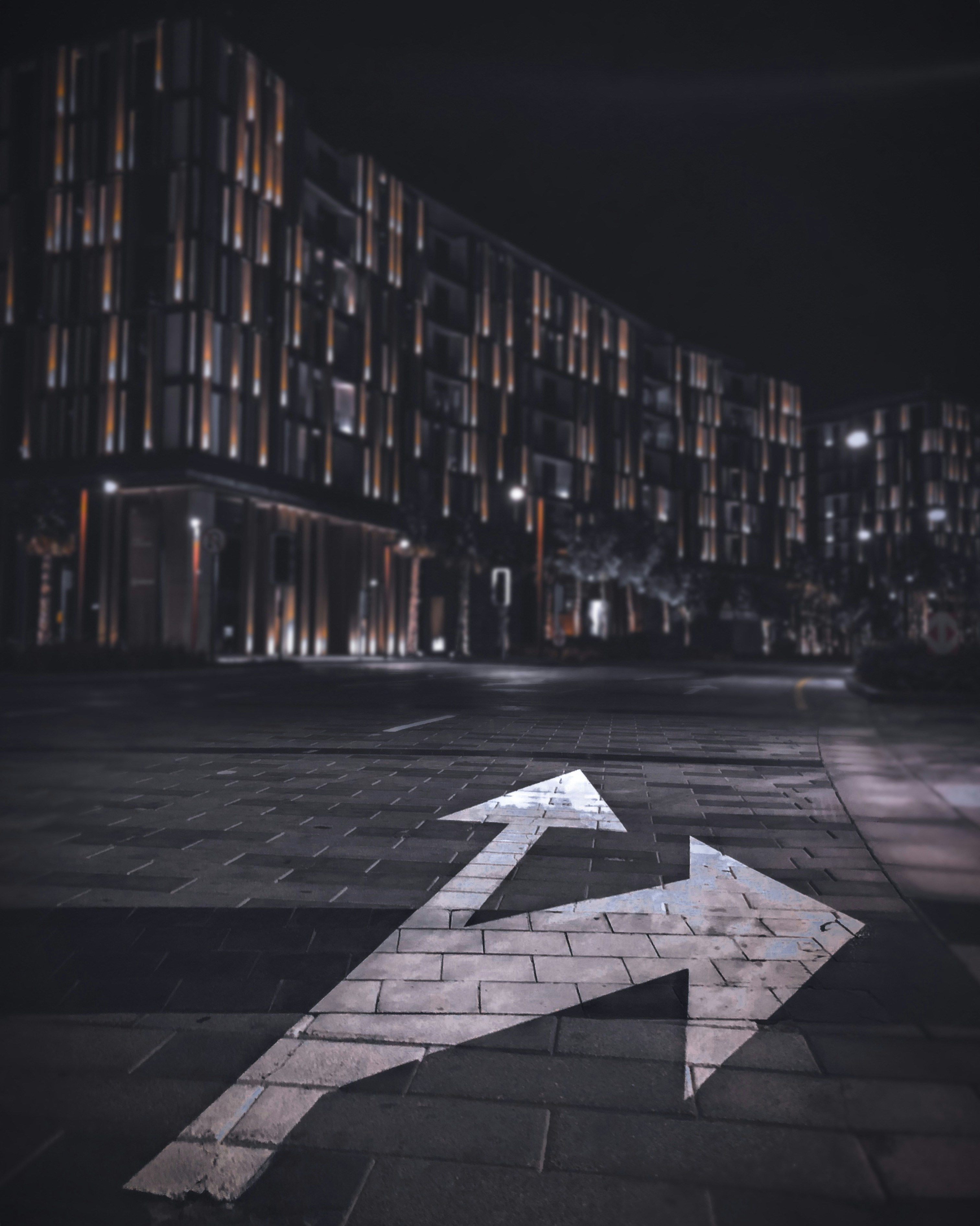 White directional arrows on pavement illuminated by ambient city lights, contrasting with the darkened buildings in the background.