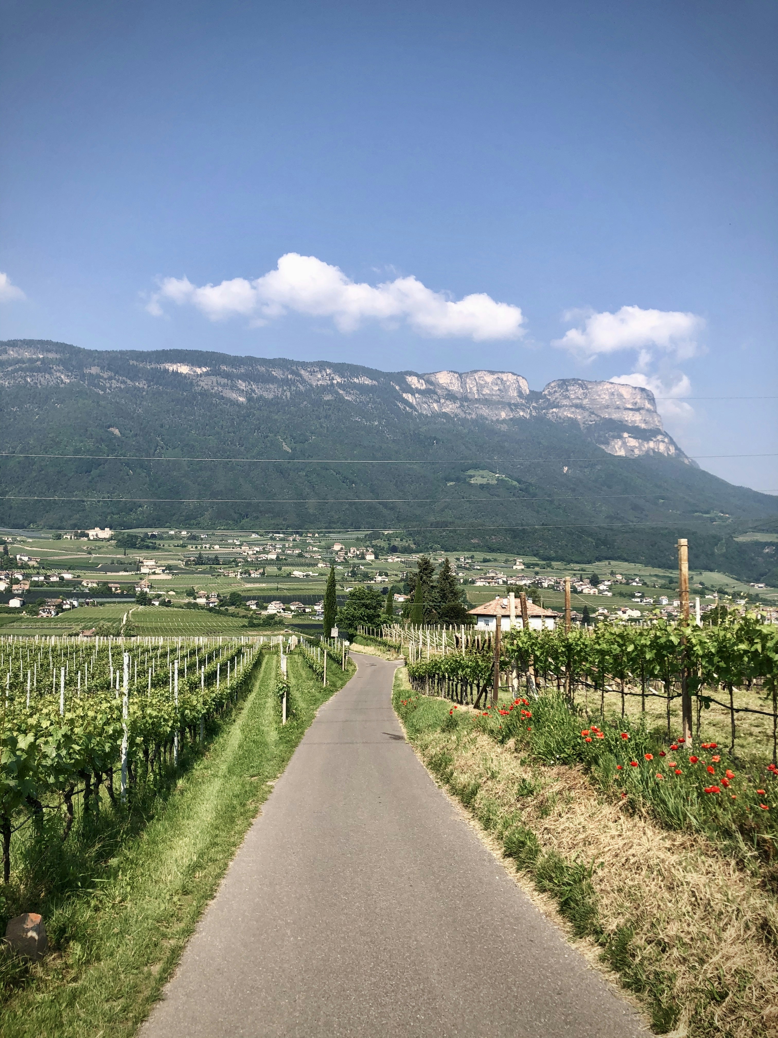 Small Farm Pictures | Download Free Images on Unsplash