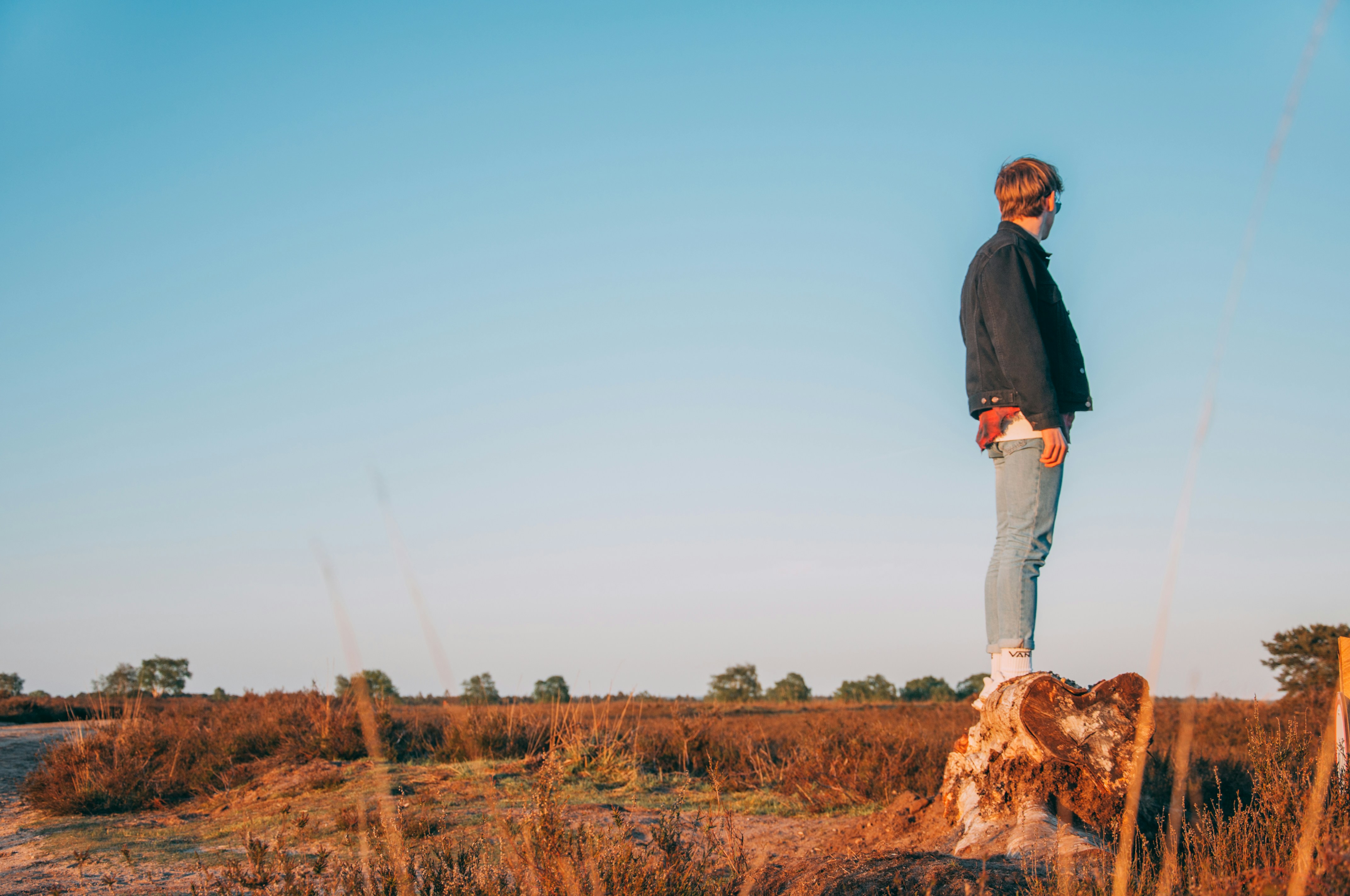 Solitude on the Heathland Edge
