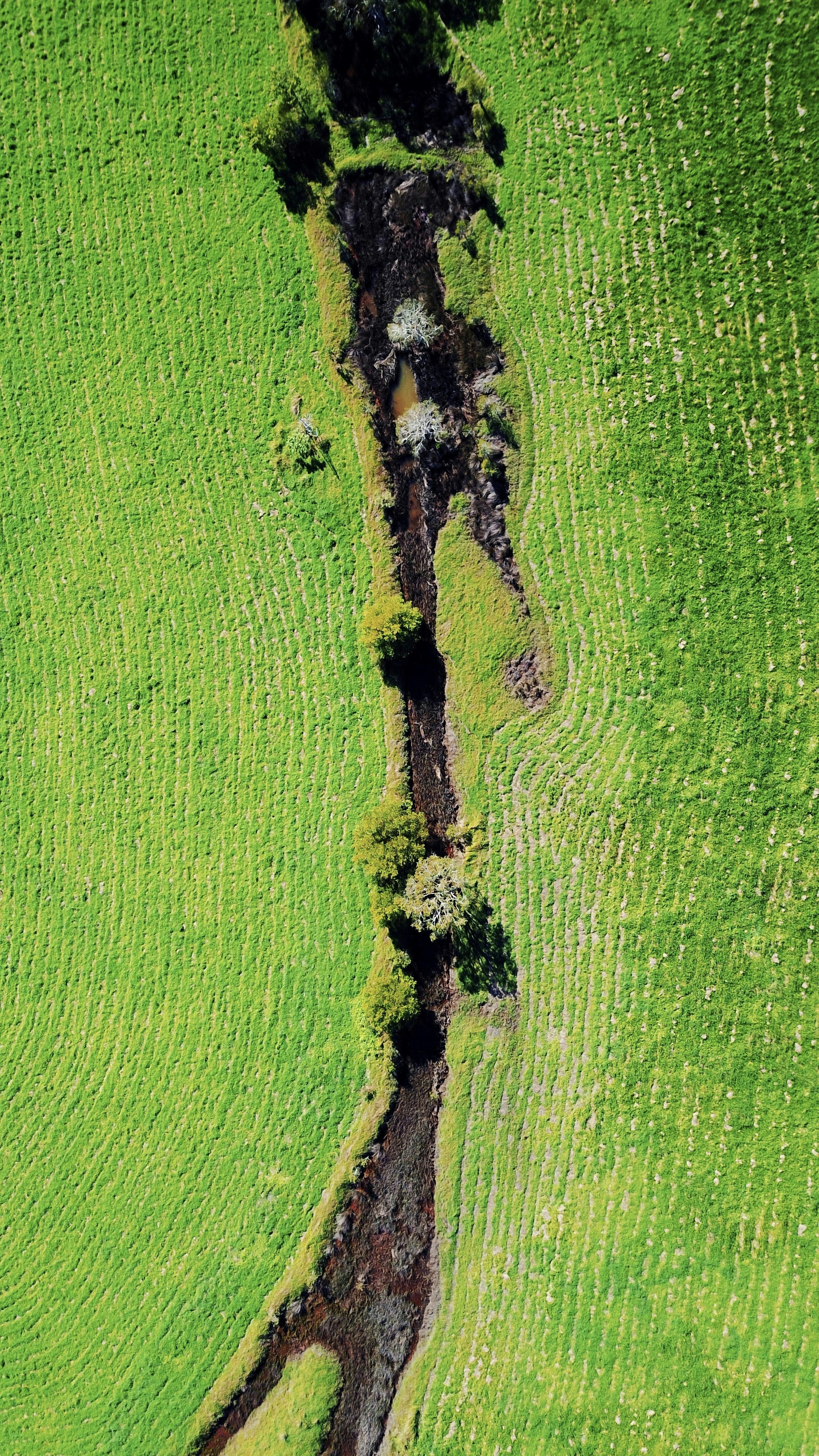 Grass Fields Pictures | Download Free Images on Unsplash