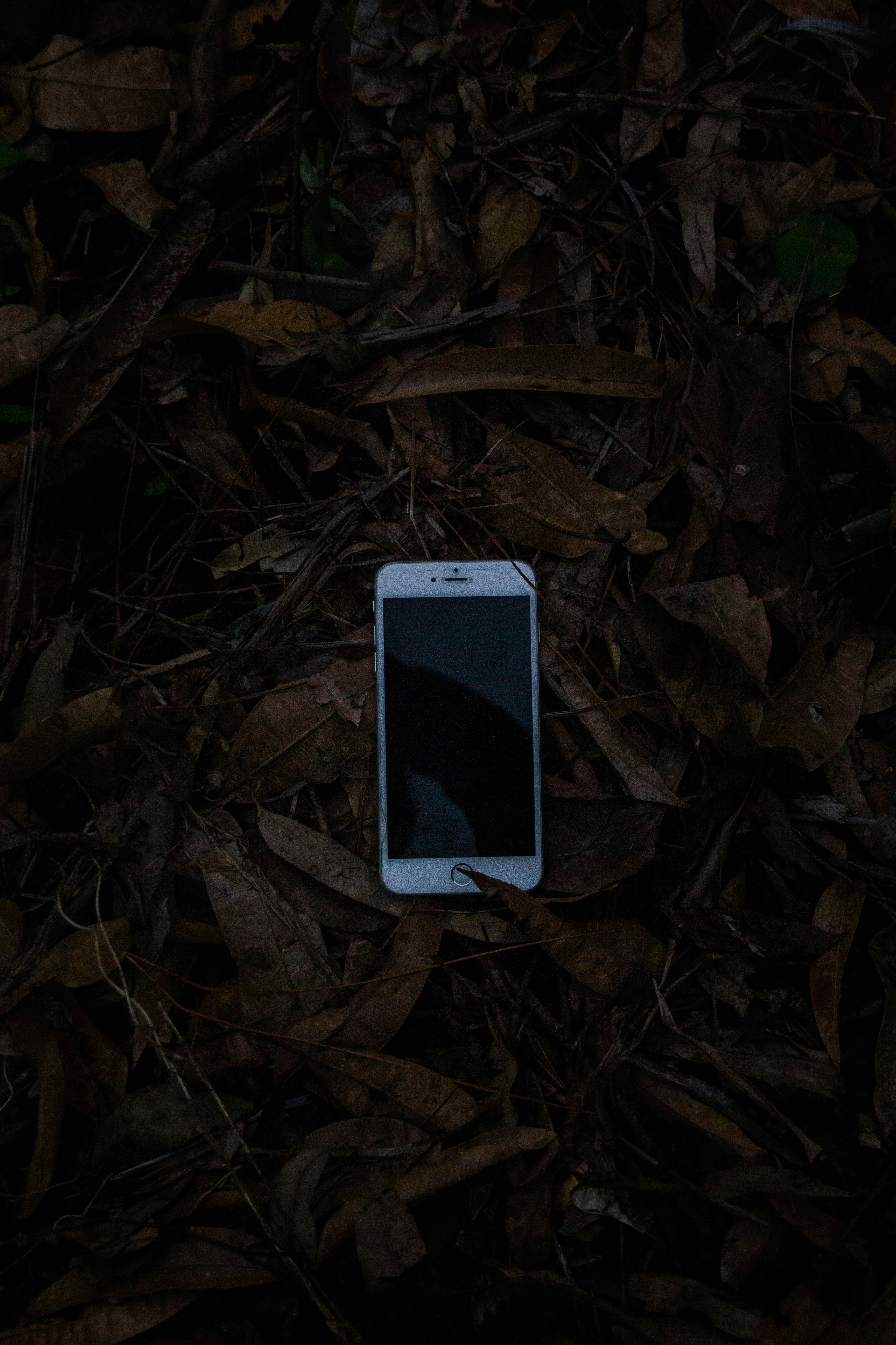 White samsung android smartphone on dried leaves photo – Free Phone ...
