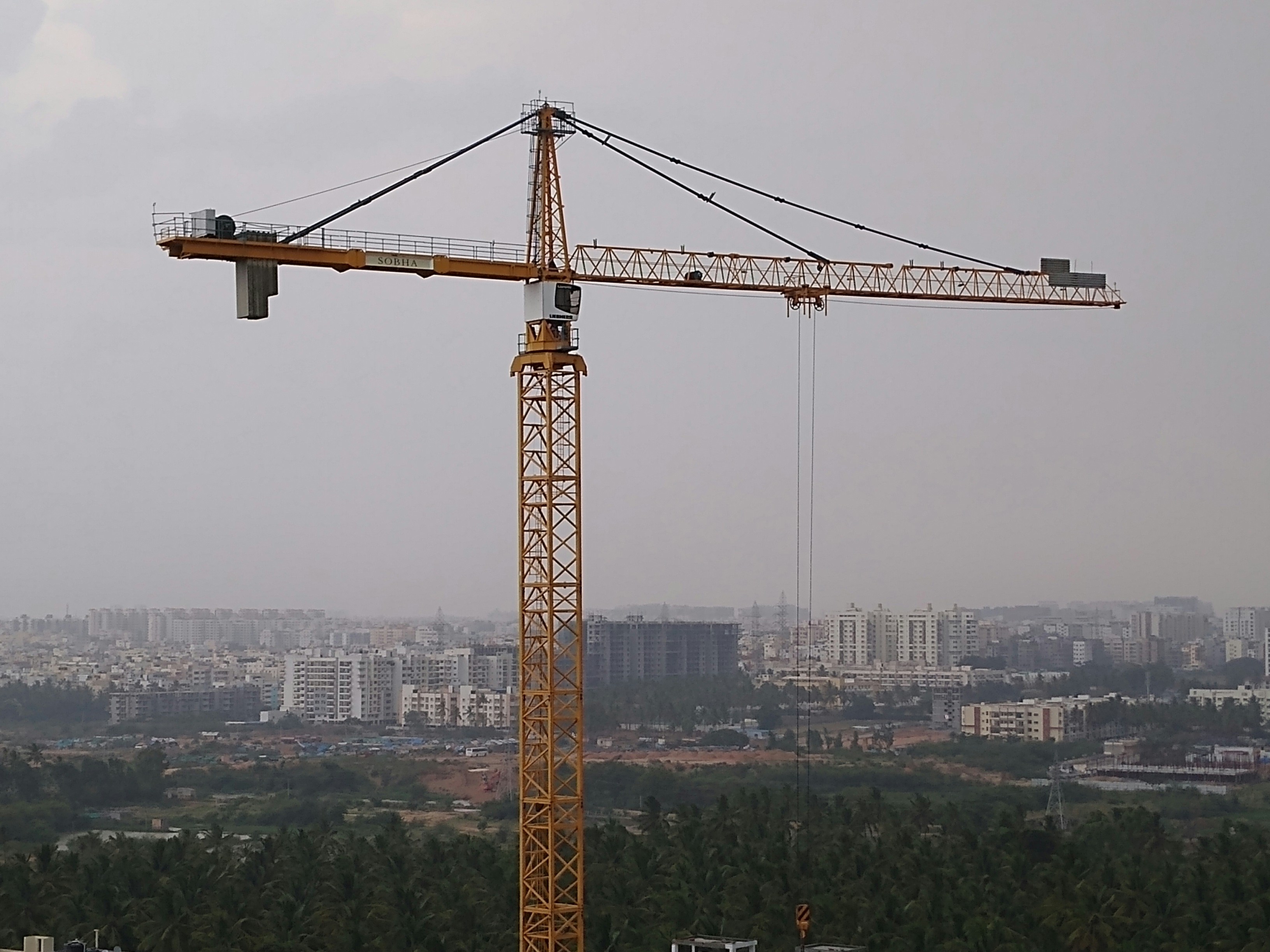 A towering construction crane dominates the skyline, overlooking a sprawling urban landscape filled with buildings and greenery.