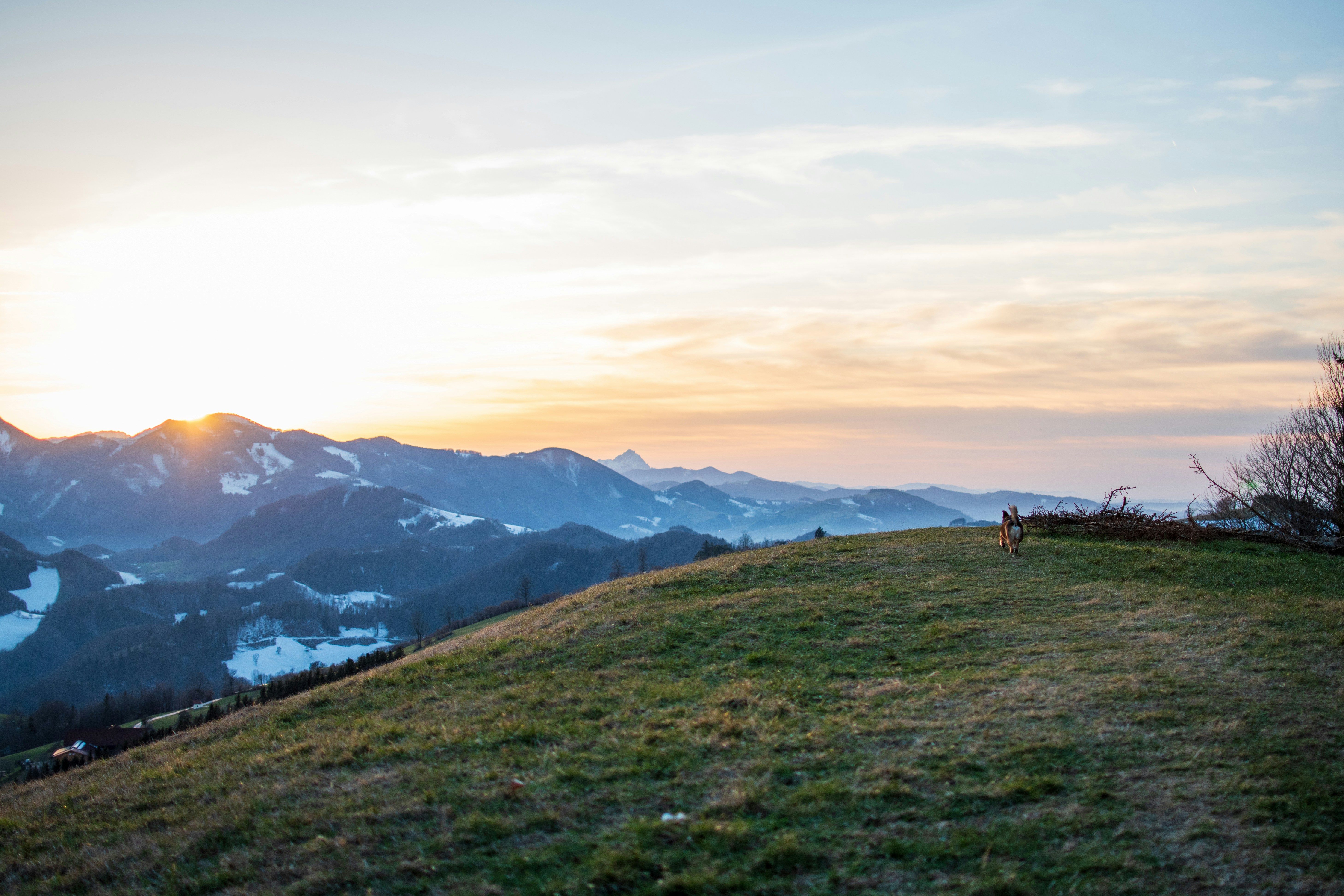 Imagens de Primus | Baixe imagens gratuitas na Unsplash