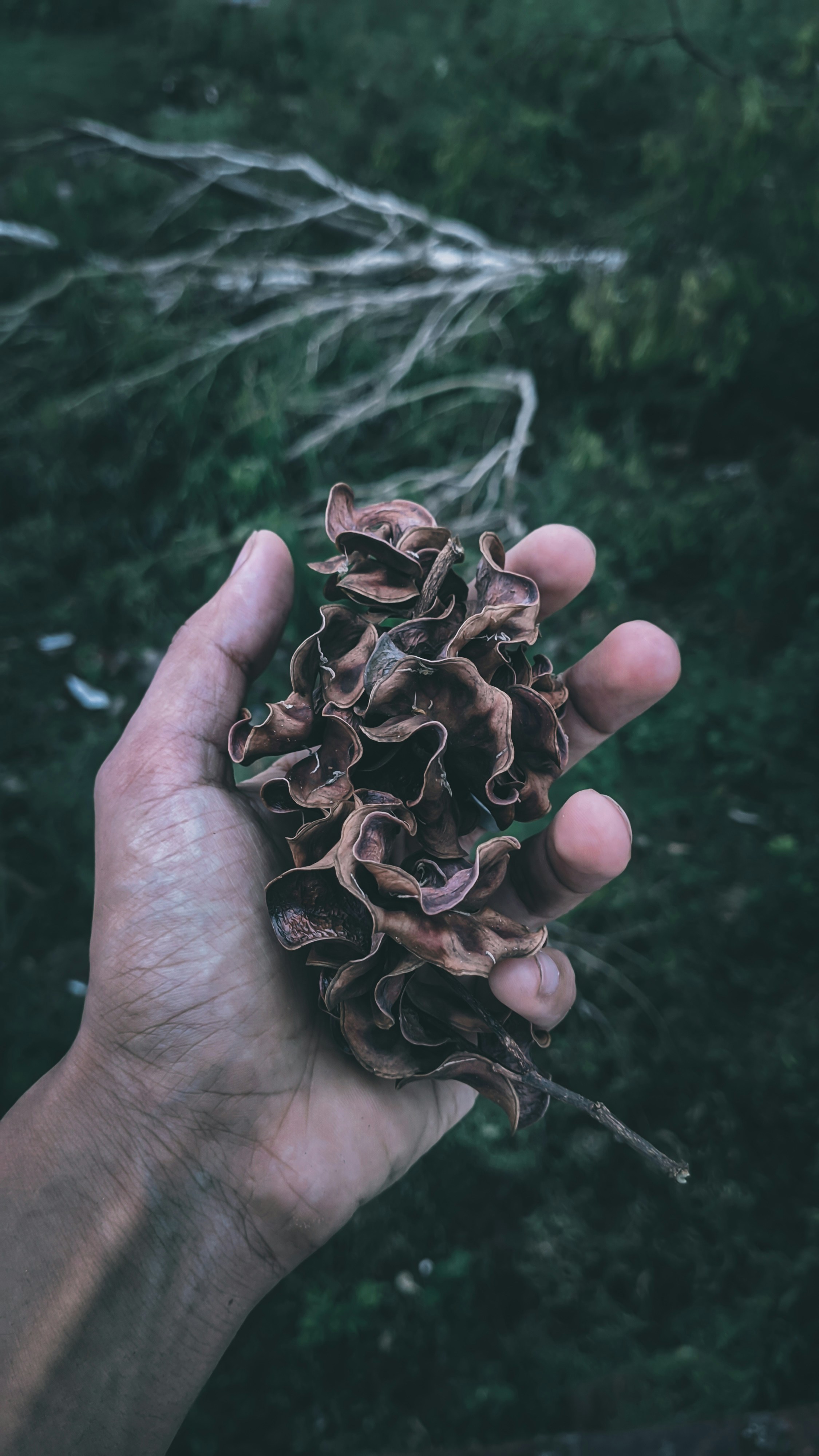 Handful of Decay: A Quiet Clump of Brown Leaves against a Grassy Backdrop