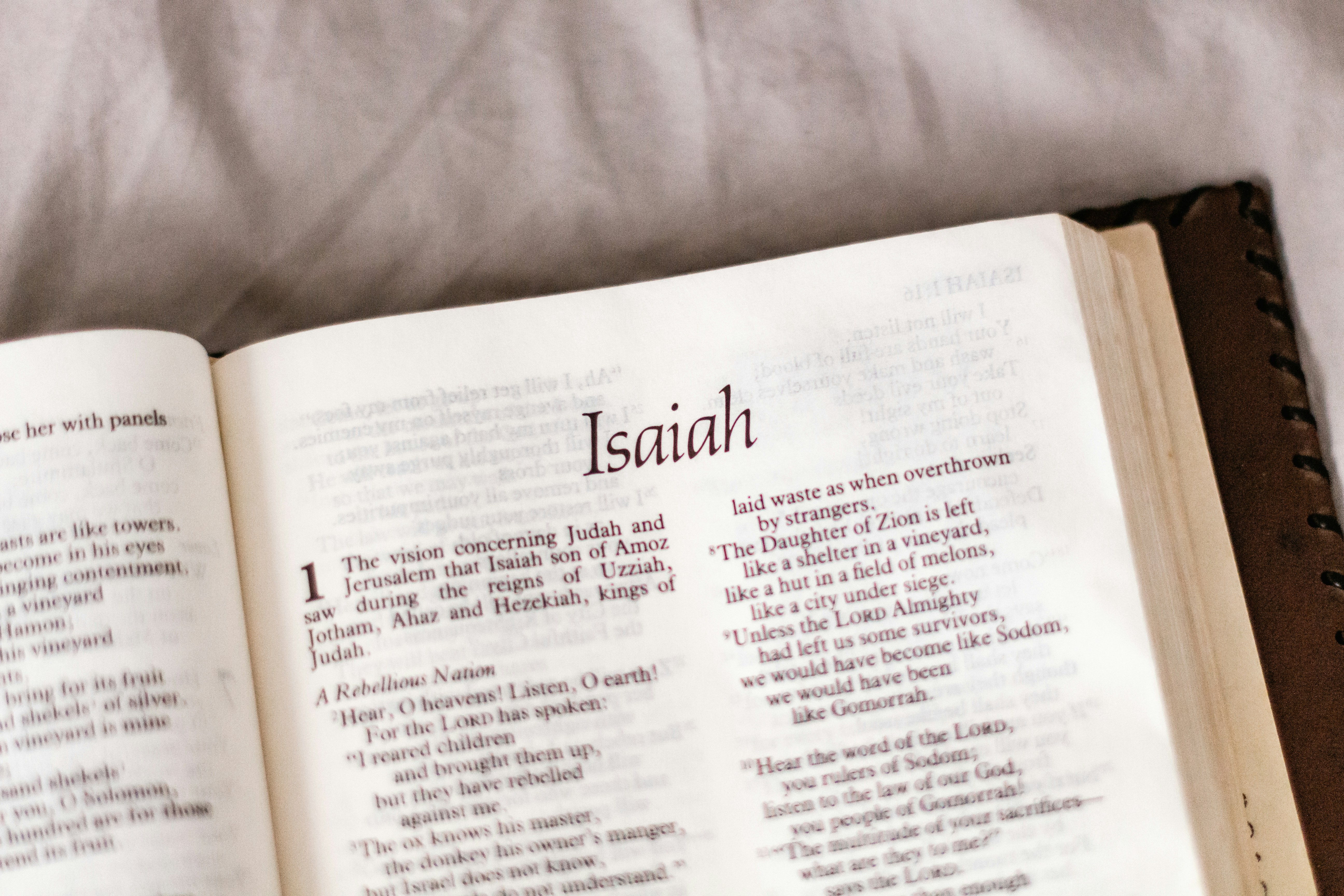 Books of the Bible | 88 best free bible, book, page and text photos on ...