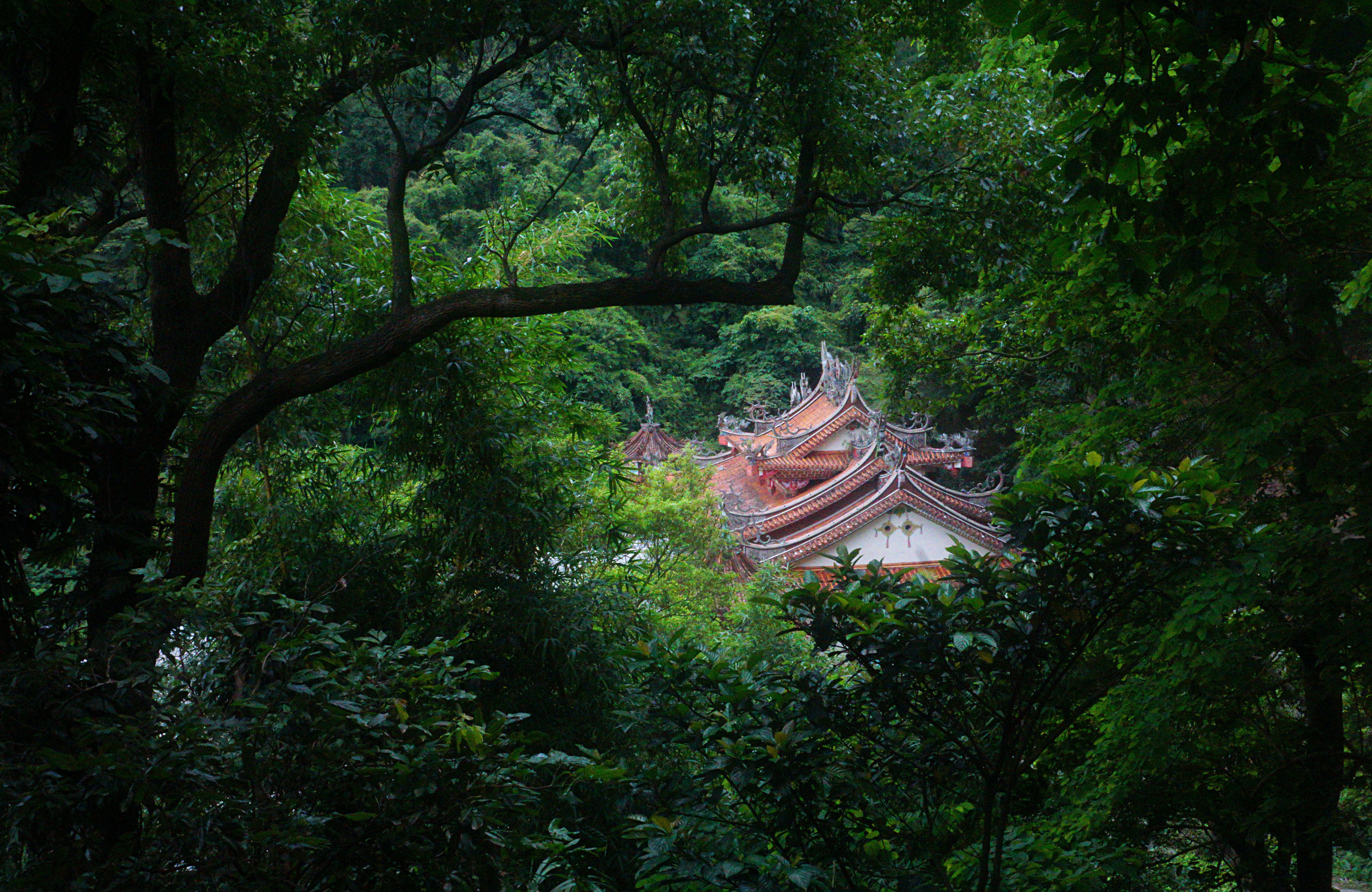 Traditional architecture peeks through lush greenery, showcasing a harmonious blend of nature and cultural heritage.