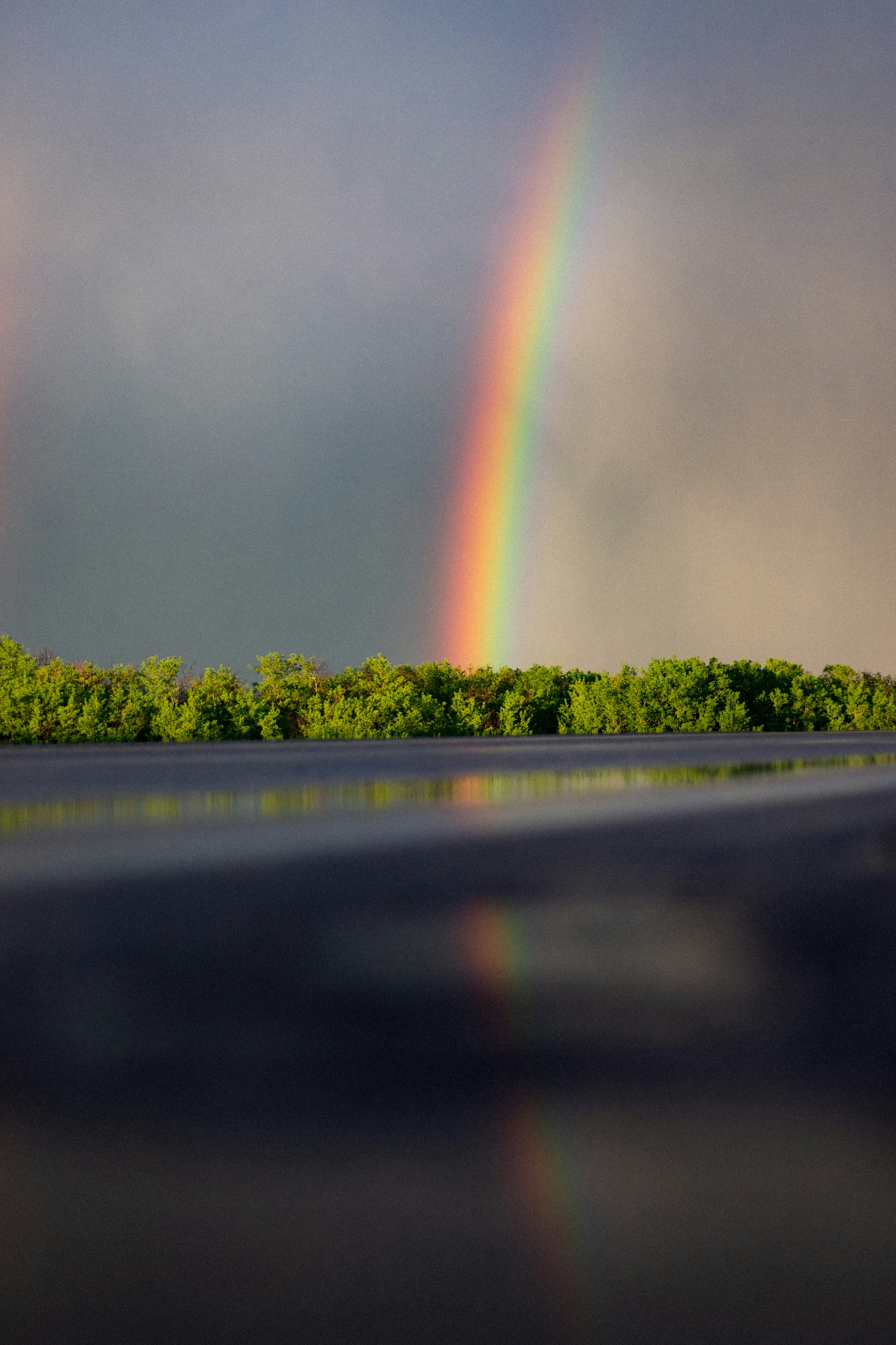 Rainbow Over the Quiet Shore: Mangrove Reflections