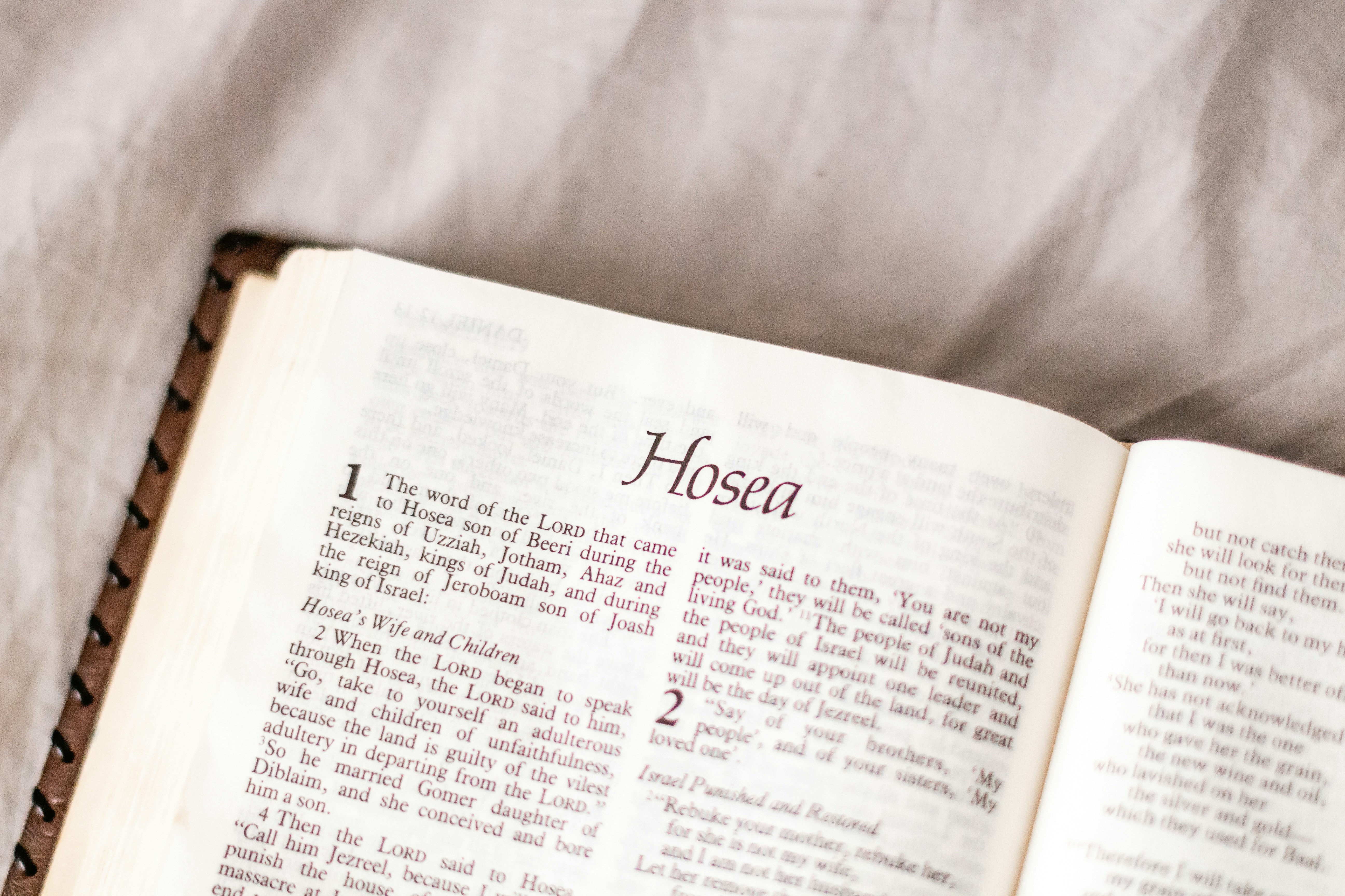 Hope for Those Who Will Not Be Home For Christmas--The Self Estranged ...