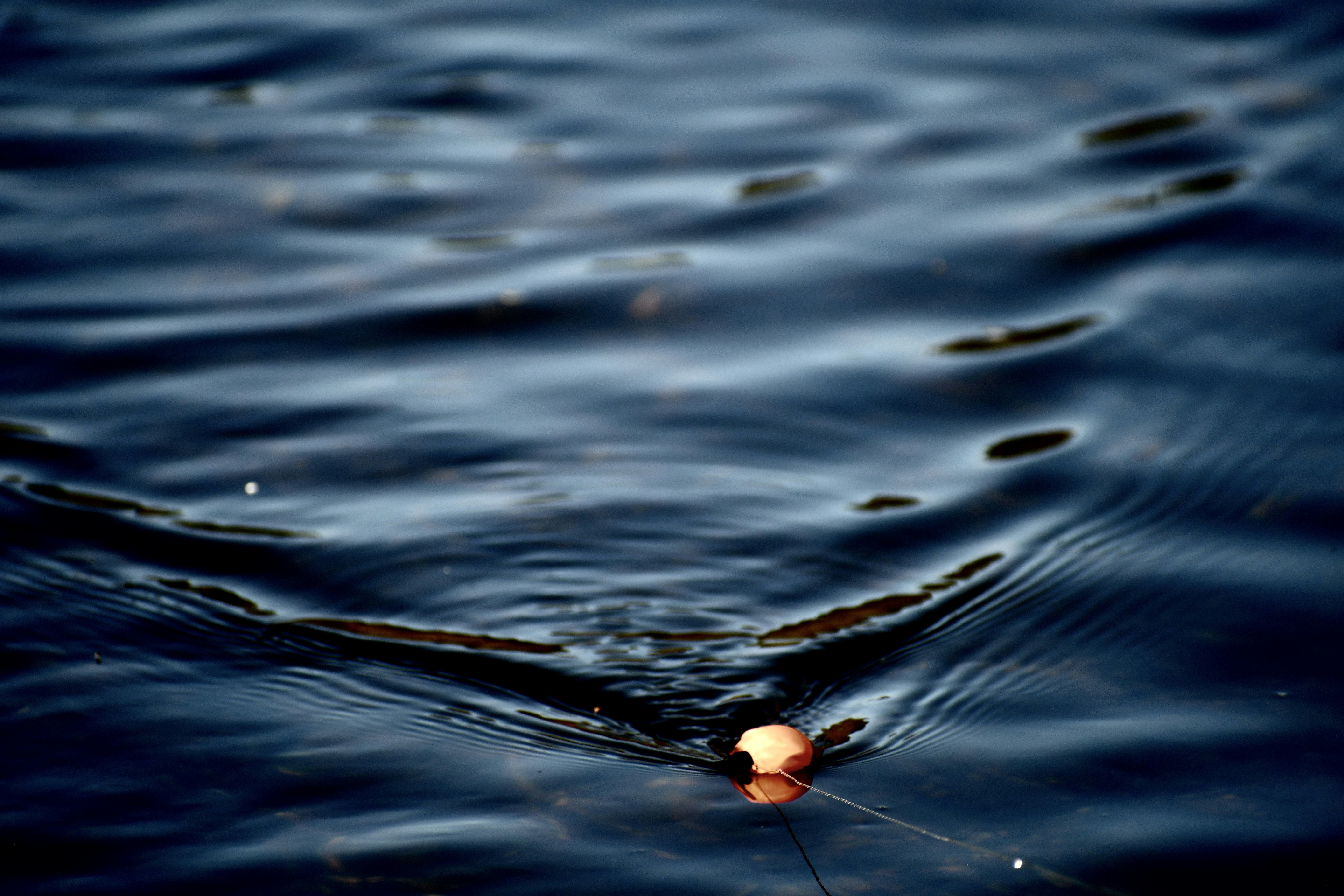 Floating Ember on Navy Ripples: a lone orange buoy against quiet water