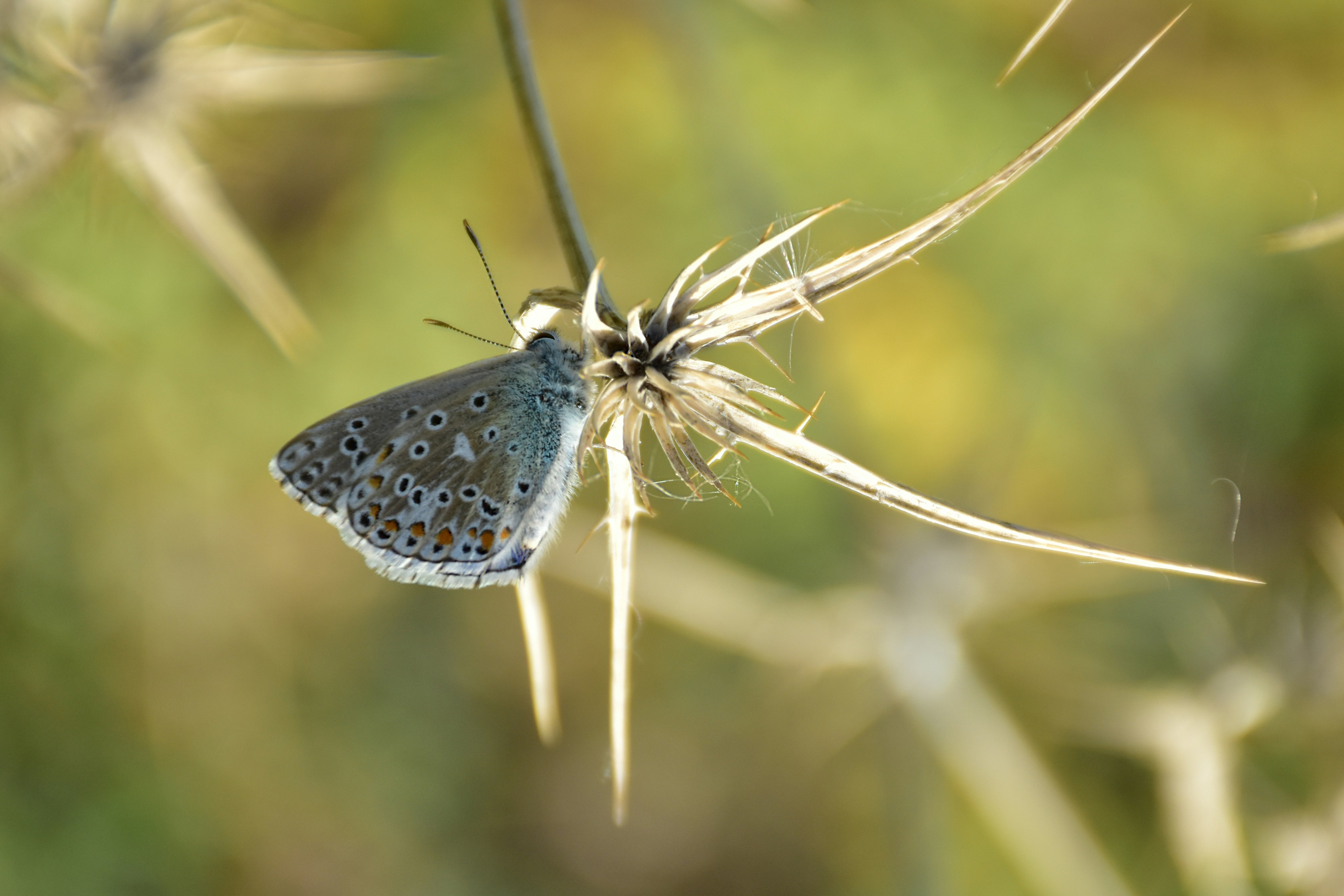 Mina Javidfard (@minajavid) | Unsplash Photo Community