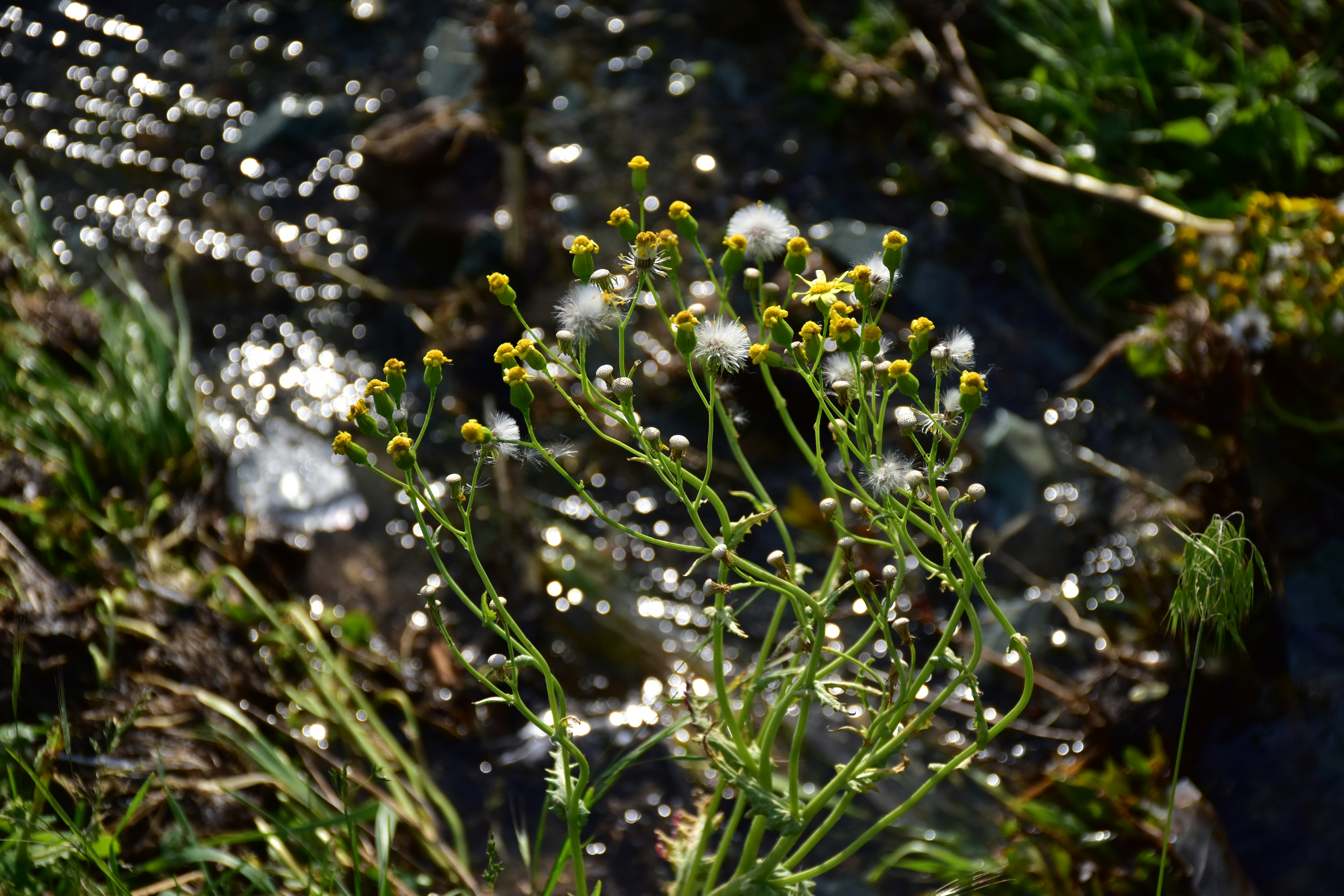 Mina Javidfard (@minajavid) | Unsplash Photo Community