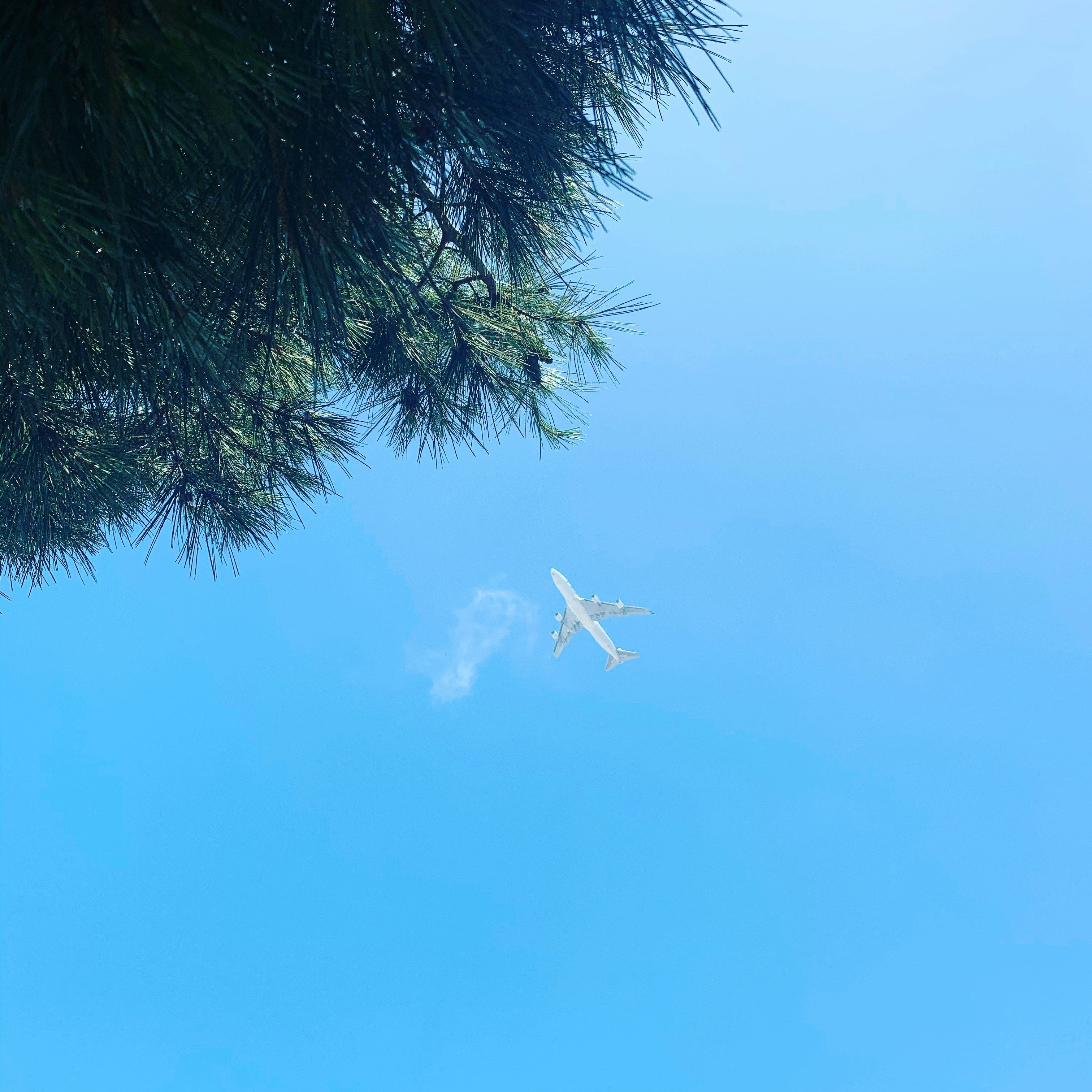 Flying high, Soaring into the skyline. I can fly,  achieve 