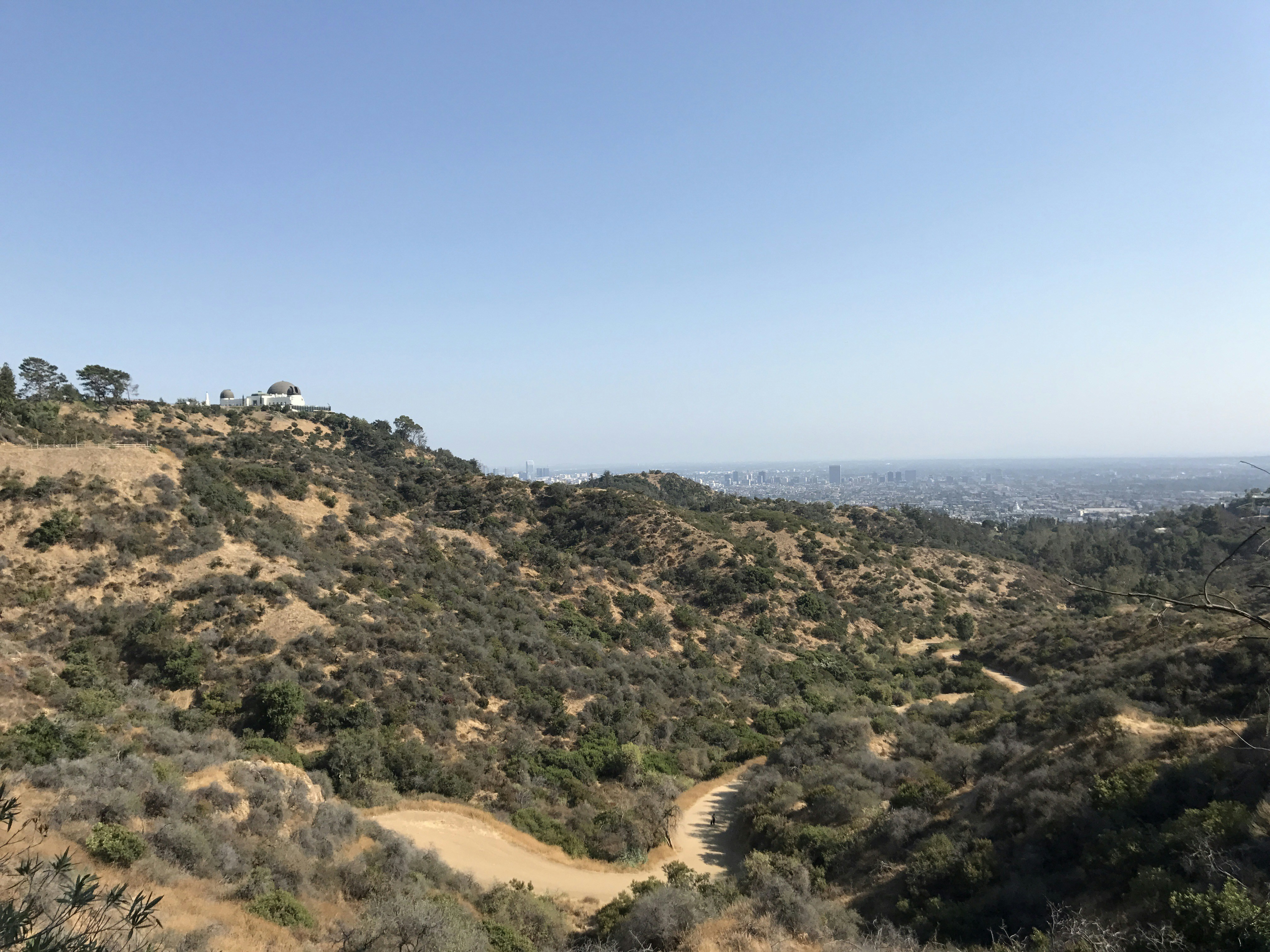 Expansive view of rolling hills leading to a distant city skyline, showcasing a blend of nature and urban life.