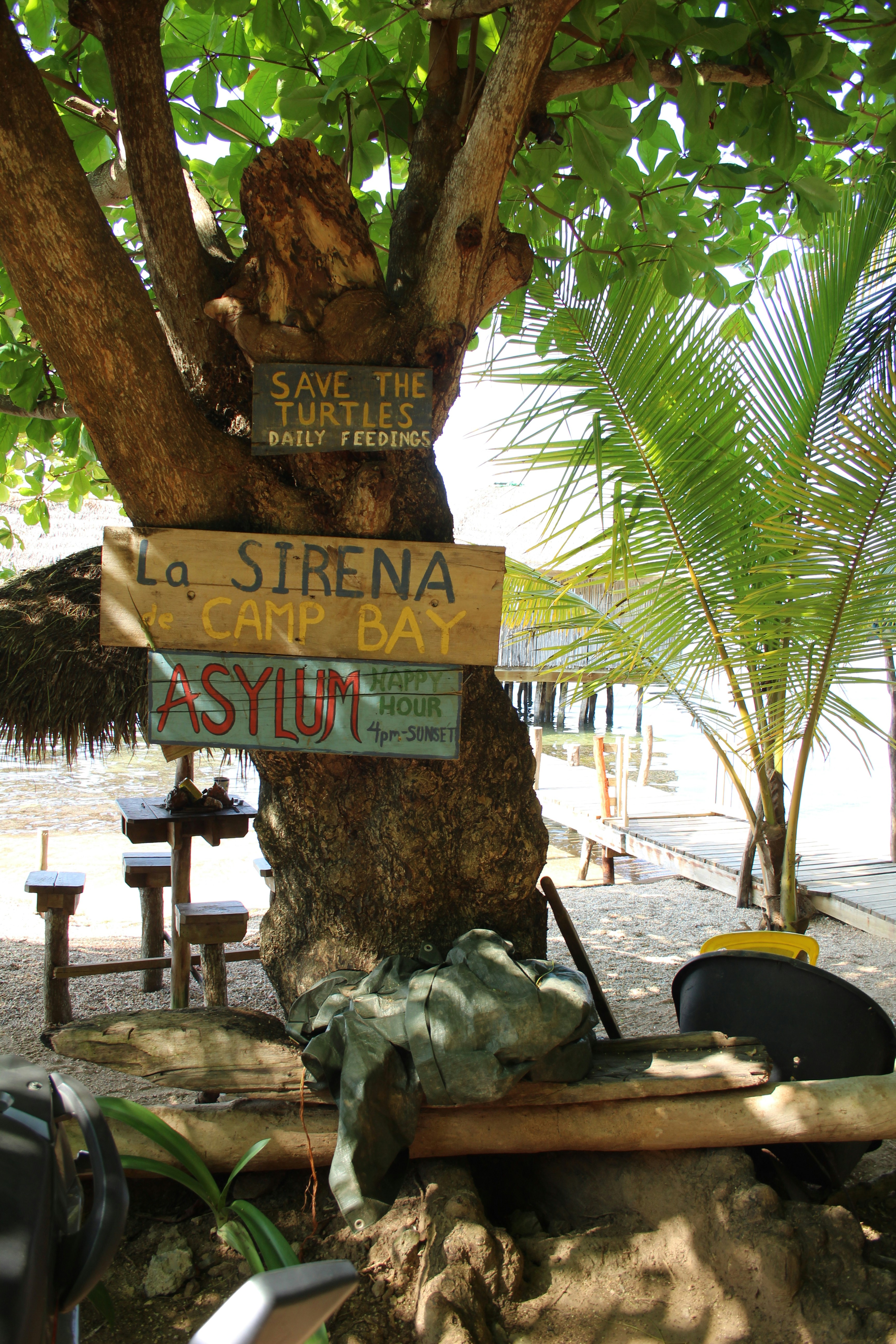 Tropical Signpost by the Shore: La Sirena Camp Bay