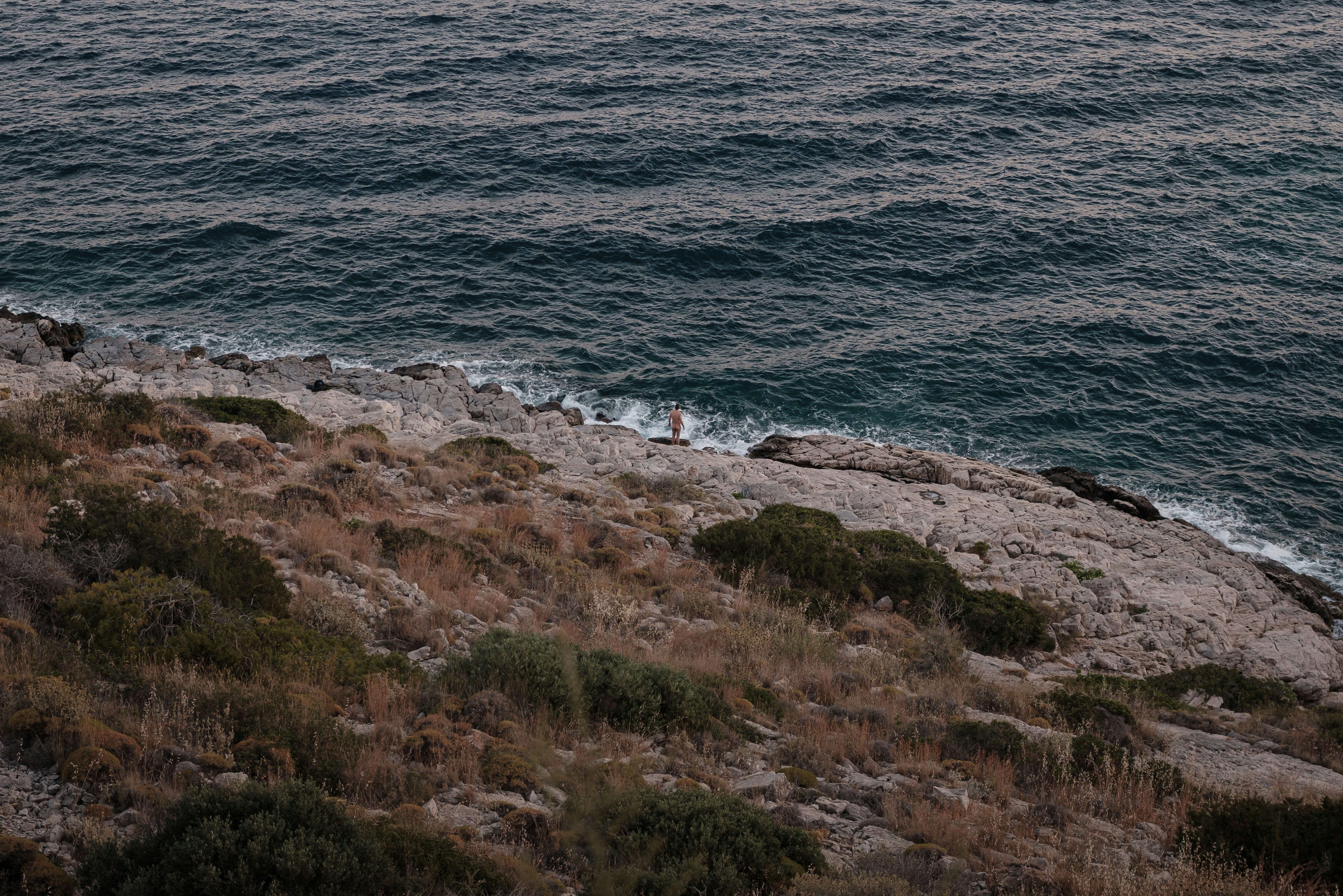 green grass on rocky shore during daytime