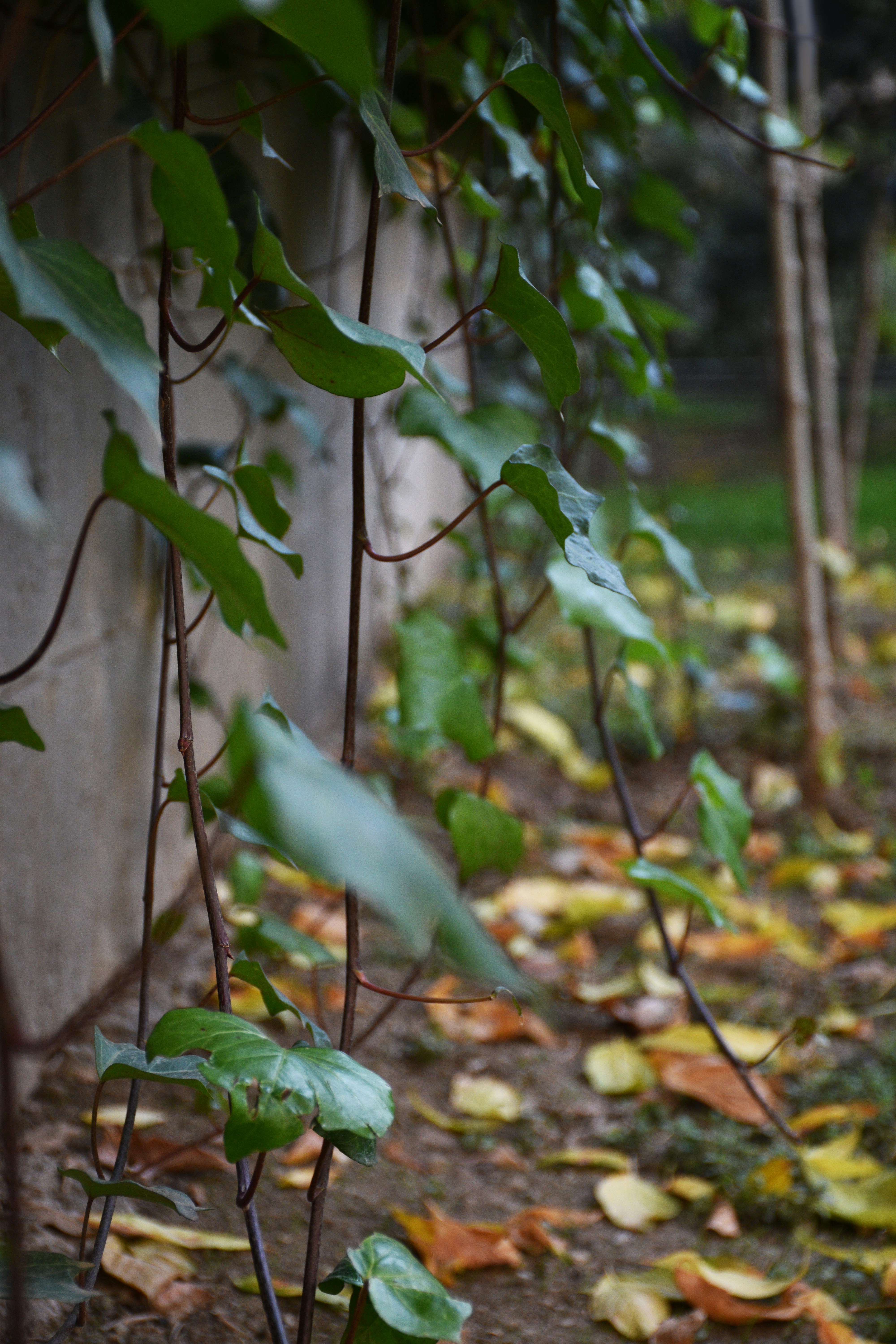 Mina Javidfard (@minajavid) | Unsplash Photo Community