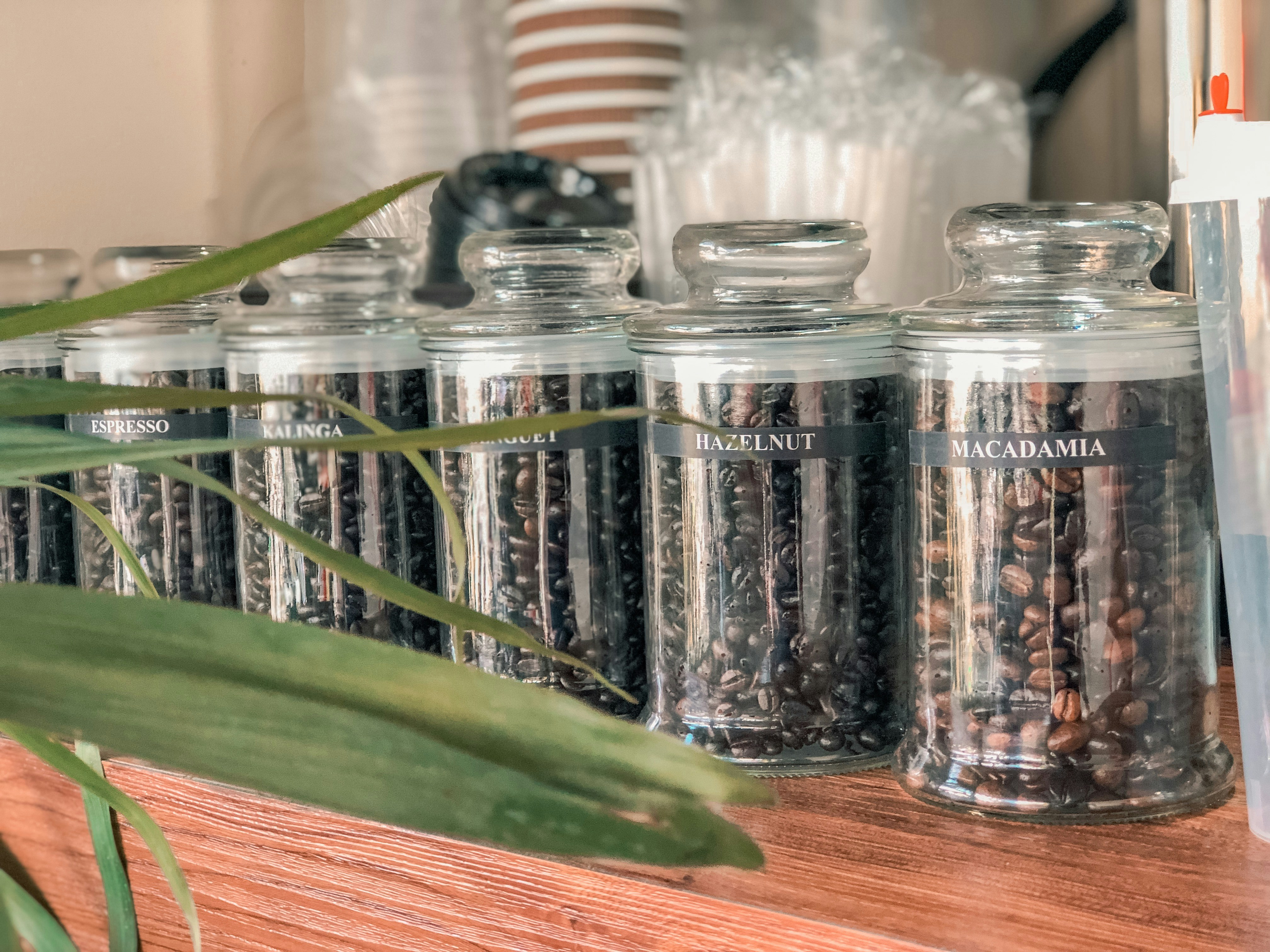 Glass jars filled with various coffee beans labeled with their names, showcasing a selection of coffee varieties on a wooden shelf.