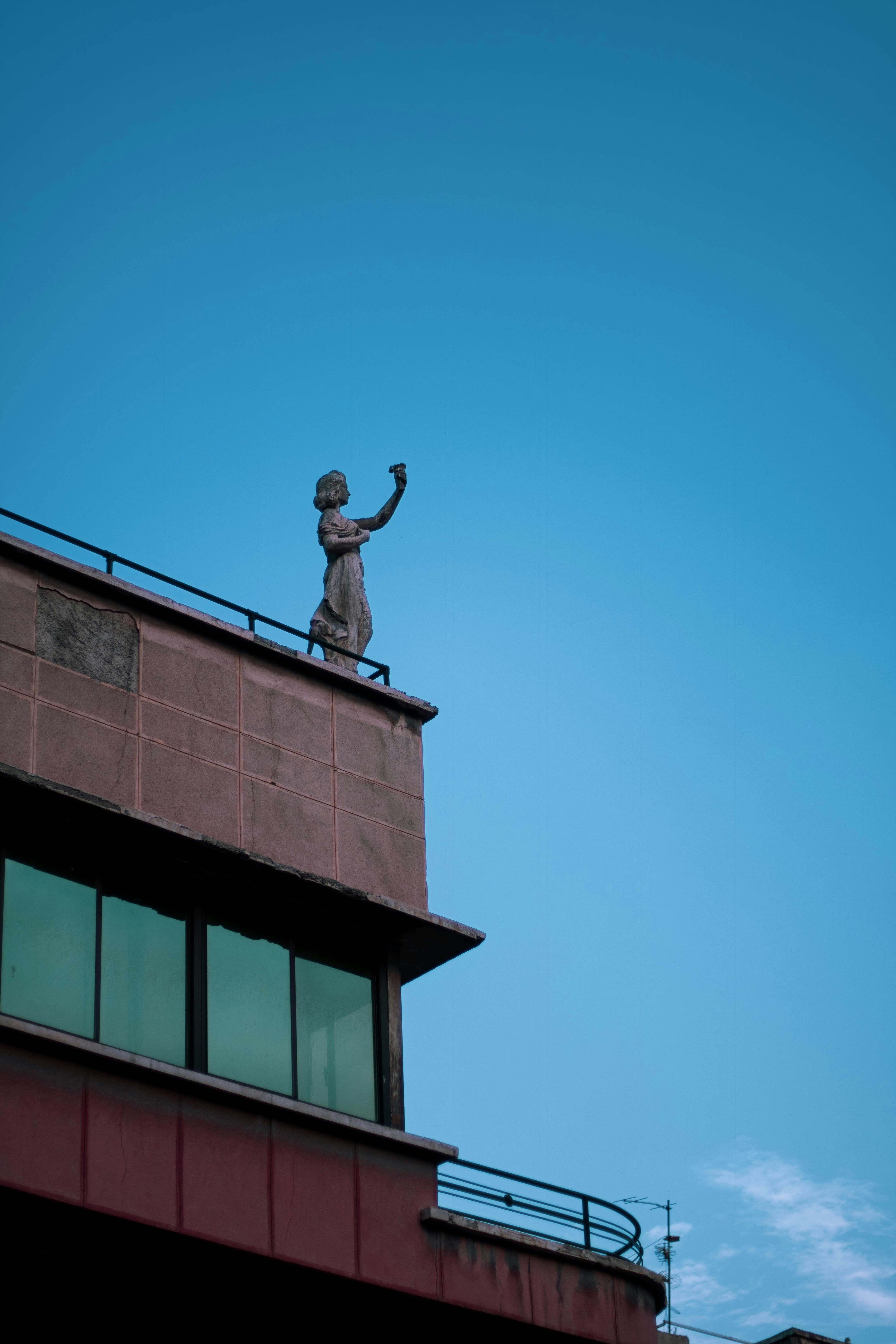 Rooftop Sentinel Reaching for the Blue Sky