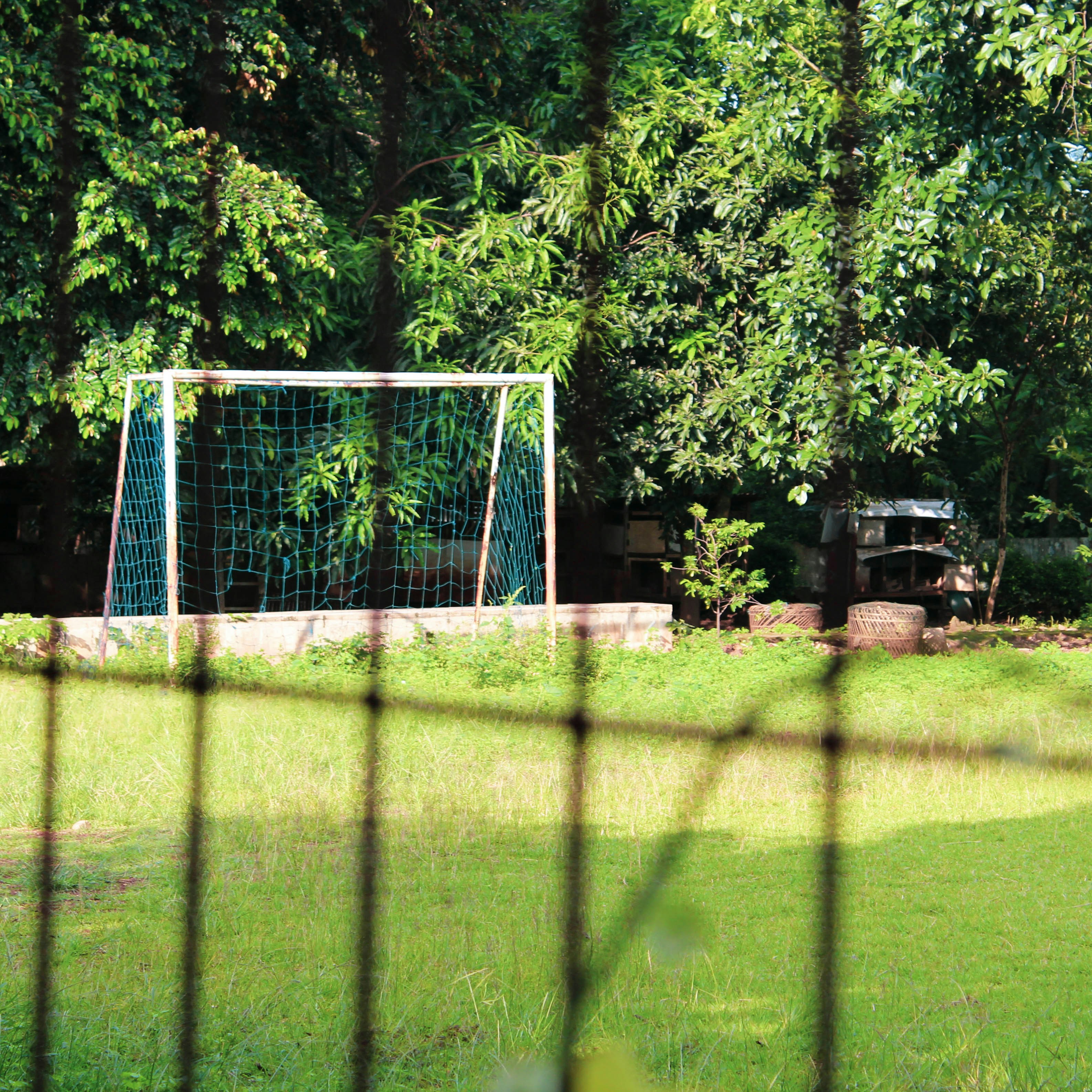 quiet
 | white net on green grass field during daytime