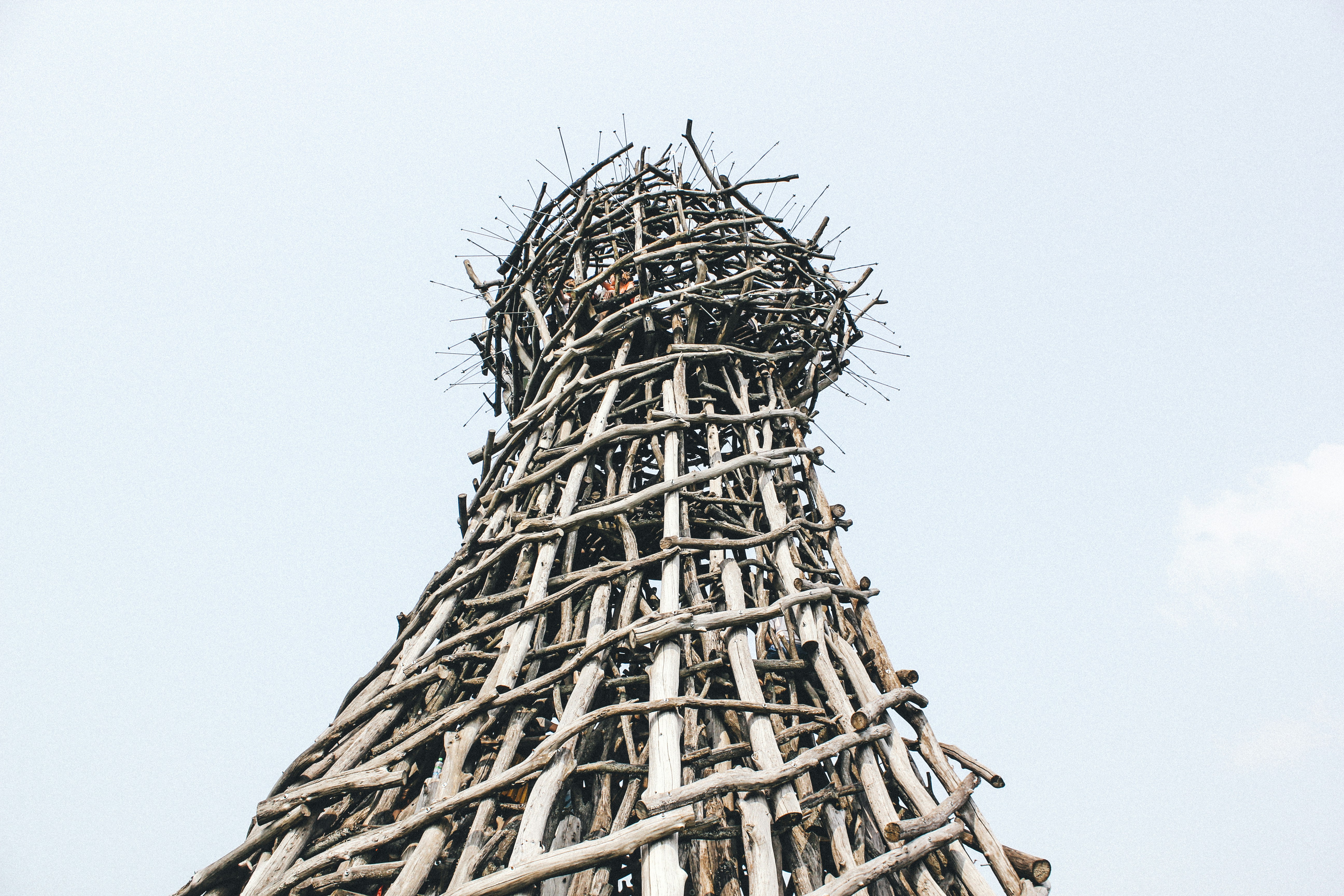 Towering Weave: A Converging Spire of Fallen Branches