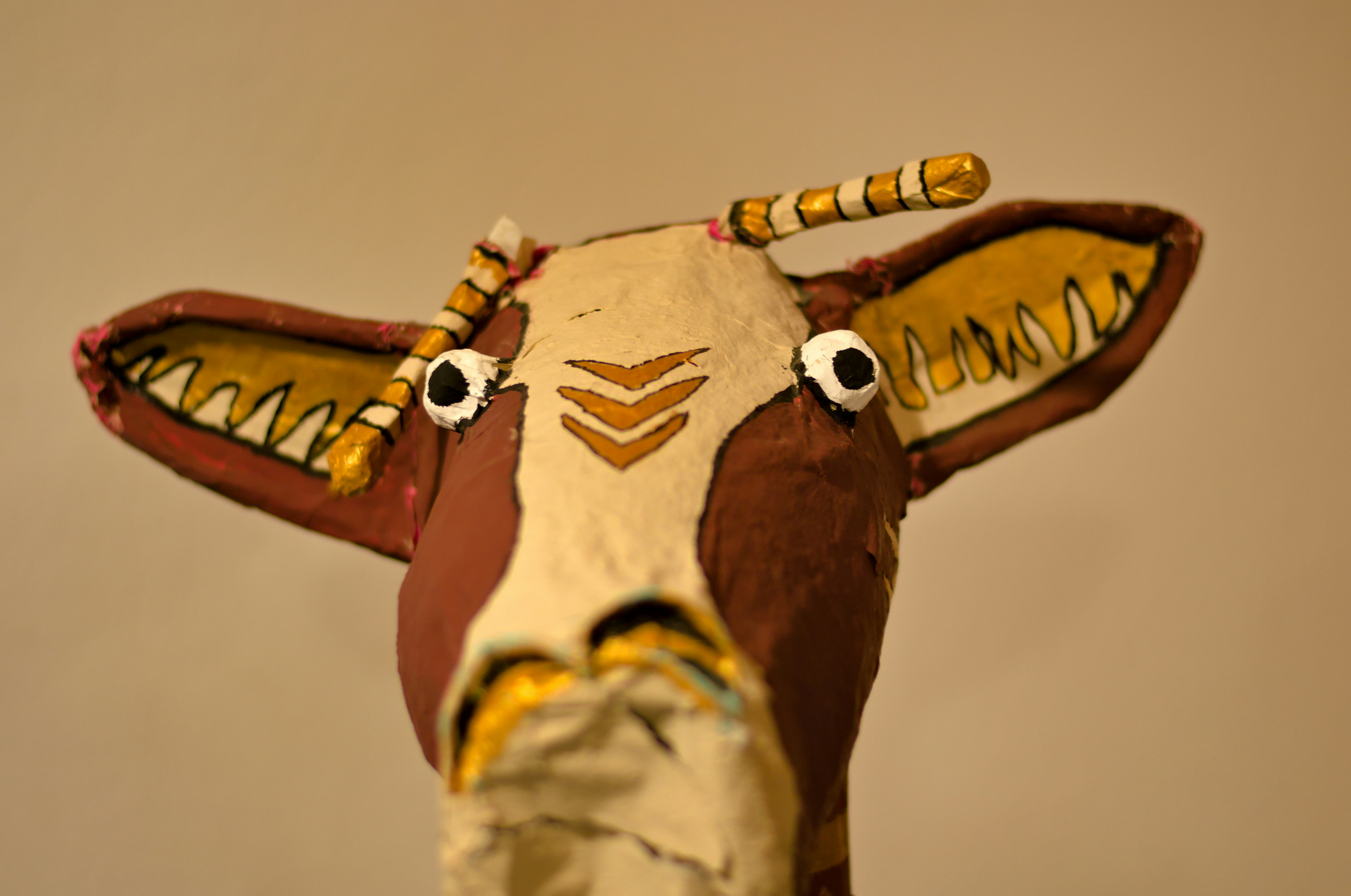 Martin Schalter (@schalter4) | Comunidade de fotos da Unsplash