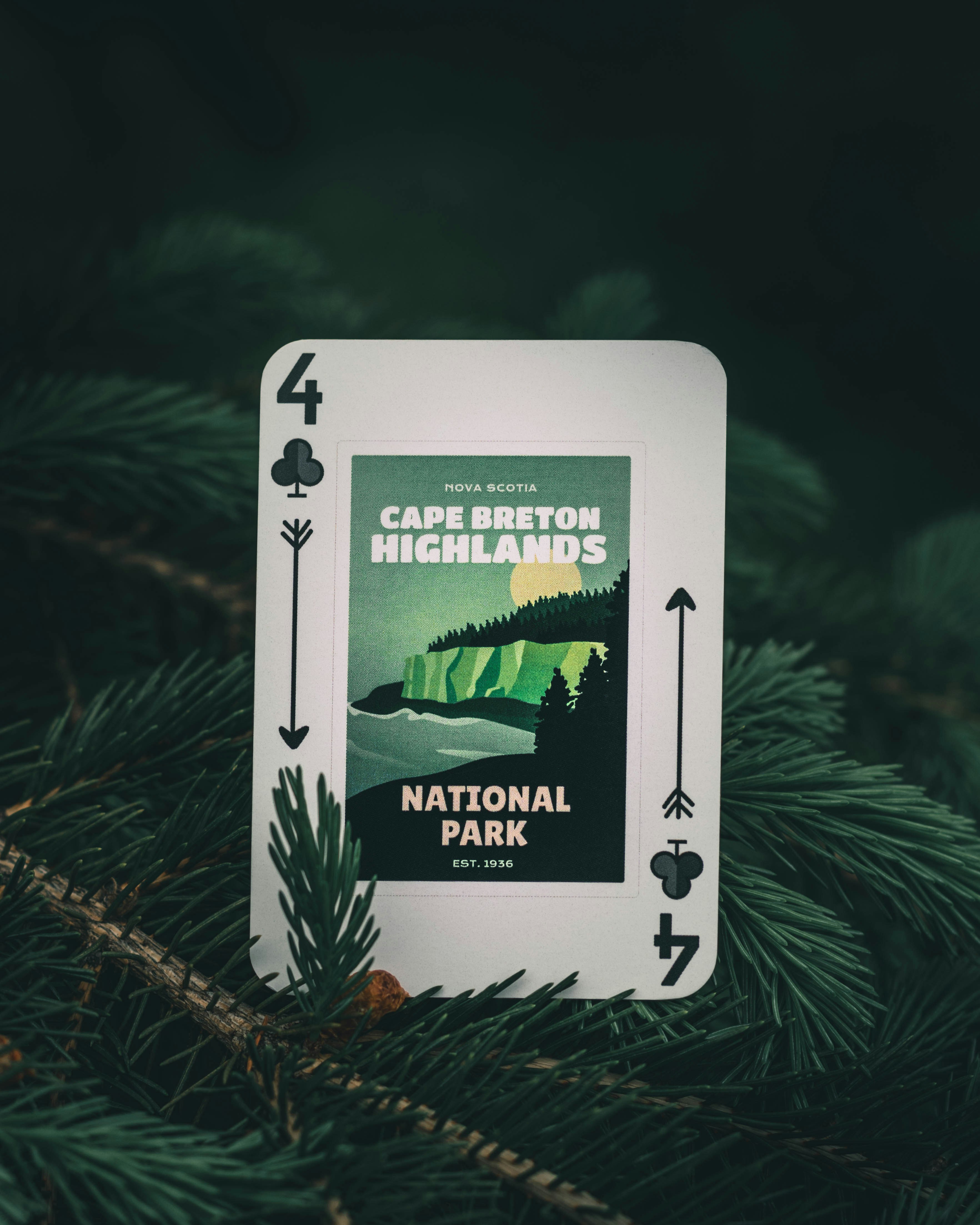 Cape Breton Highlands Card: A Pocket Scenic in Green Pines