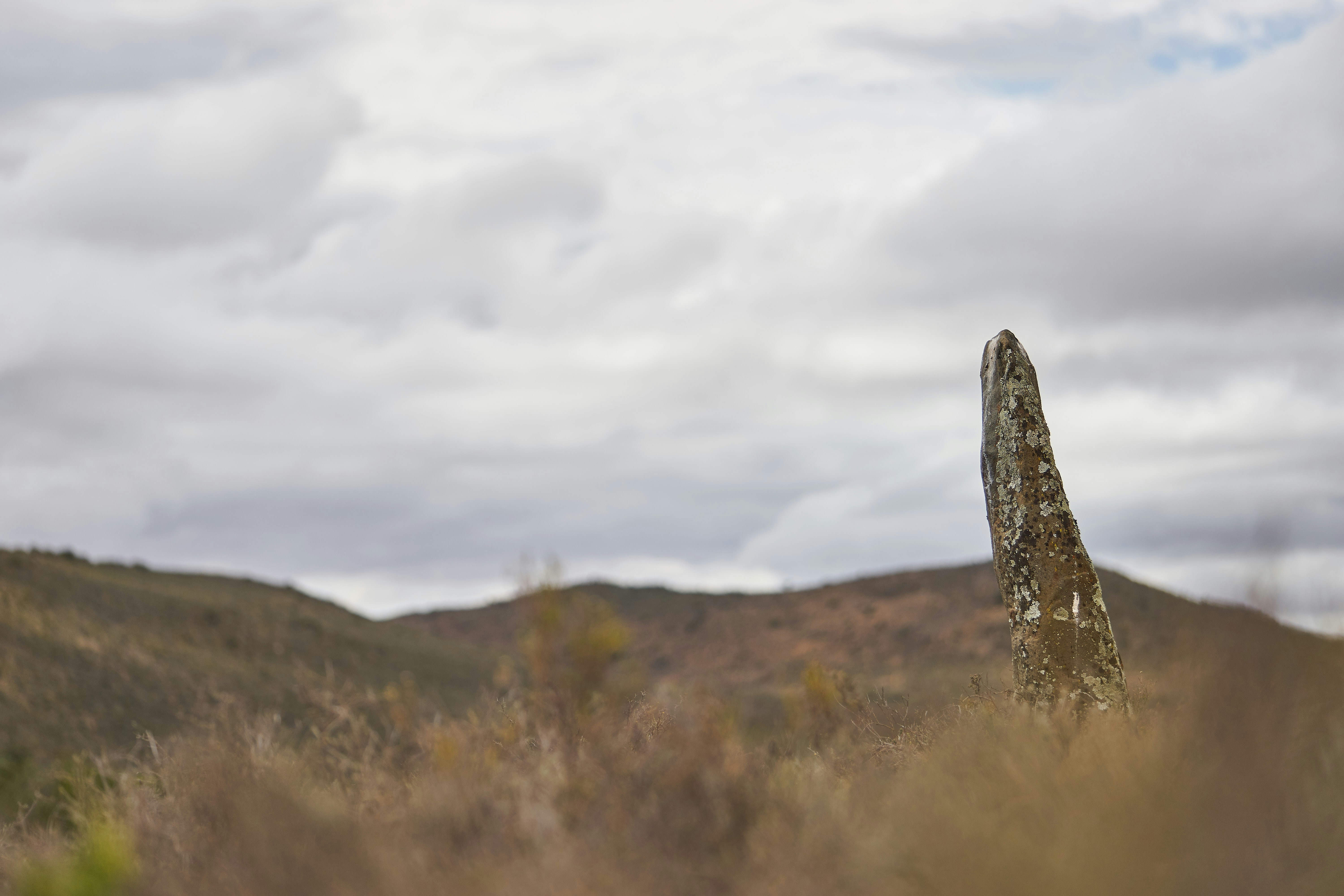 Erect Stone Sentinel in Field of Glowing Grass