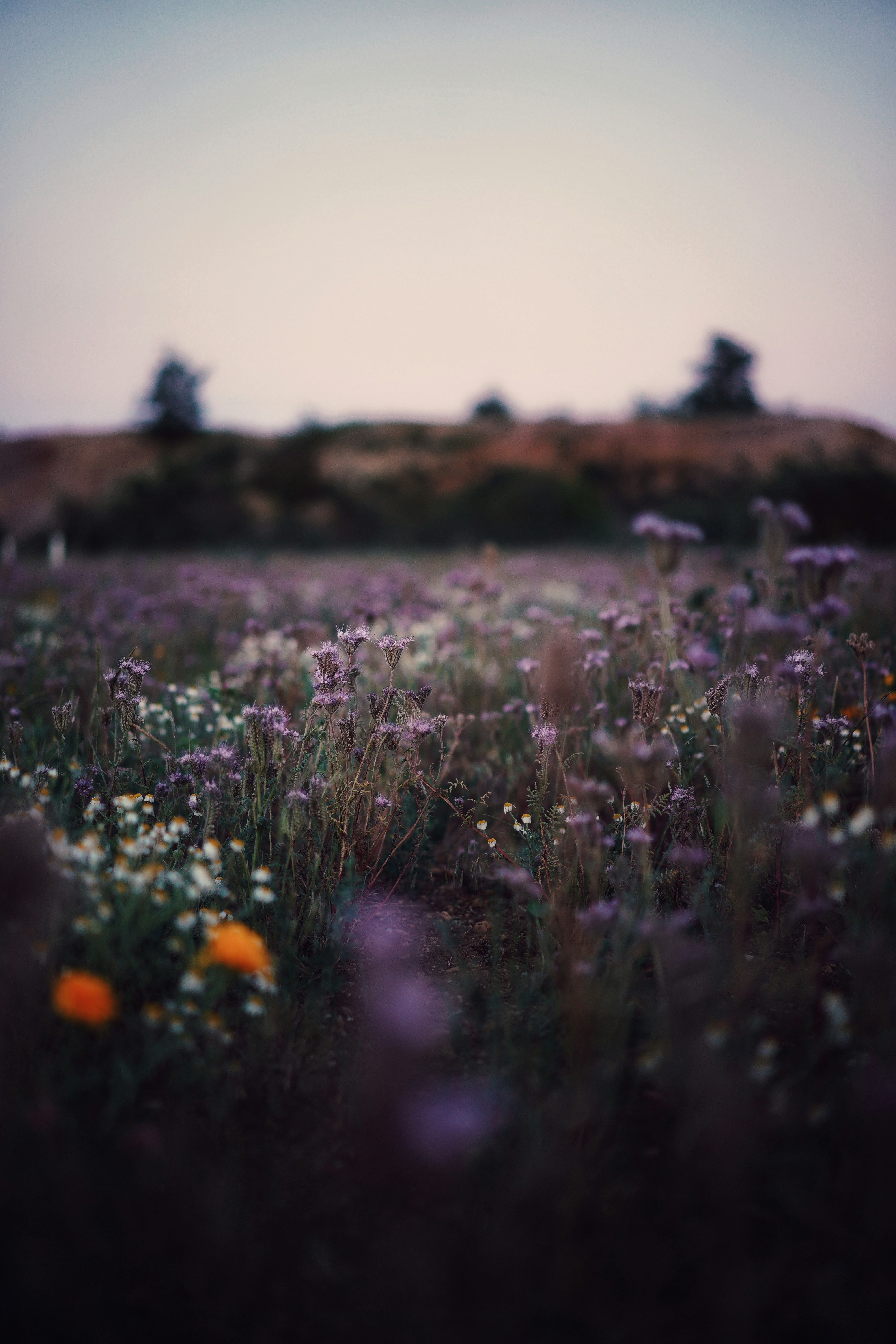 Country Tumblr Backgrounds