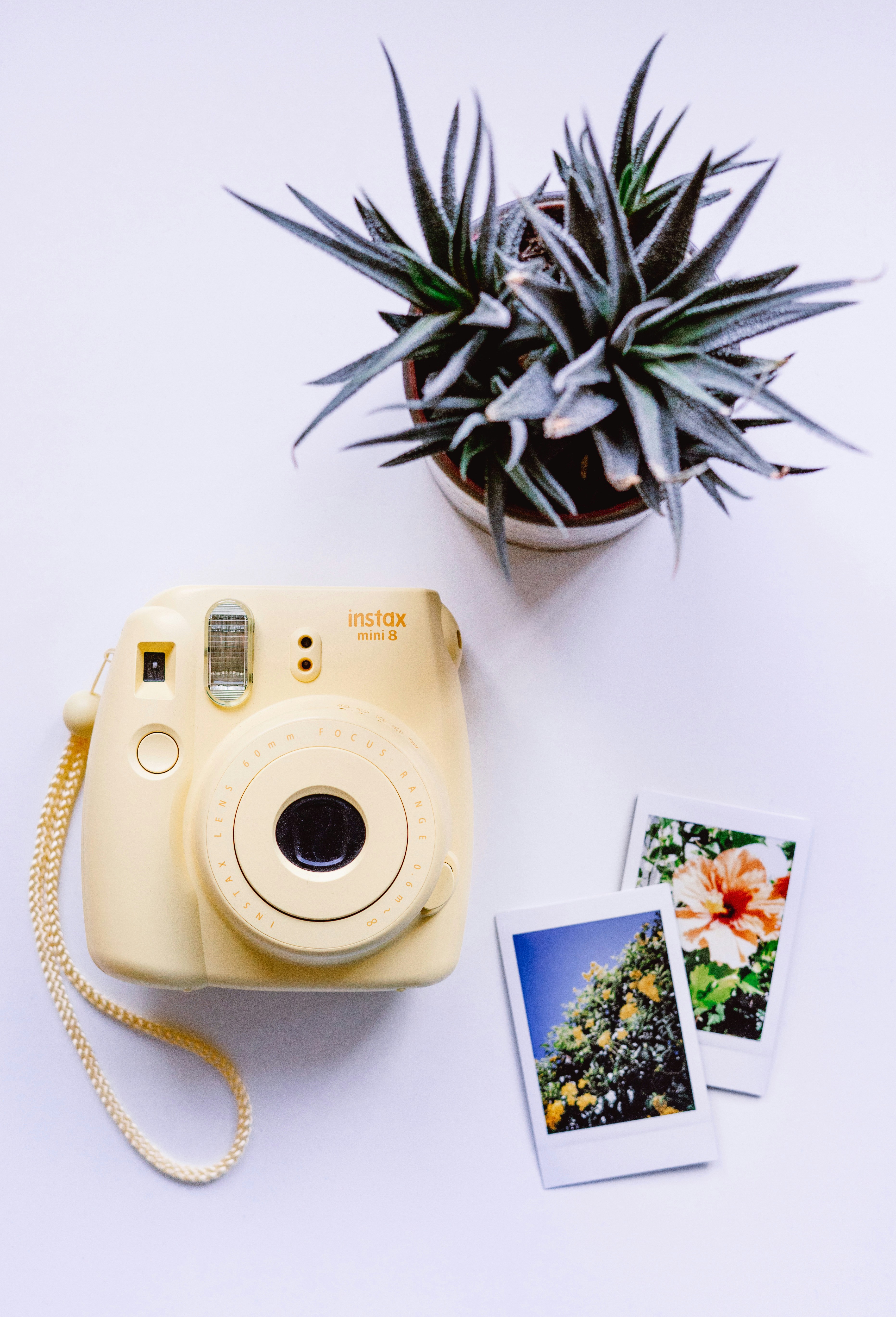 Foto Cámara réflex digital Canon blanca y plateada junto a la planta ...