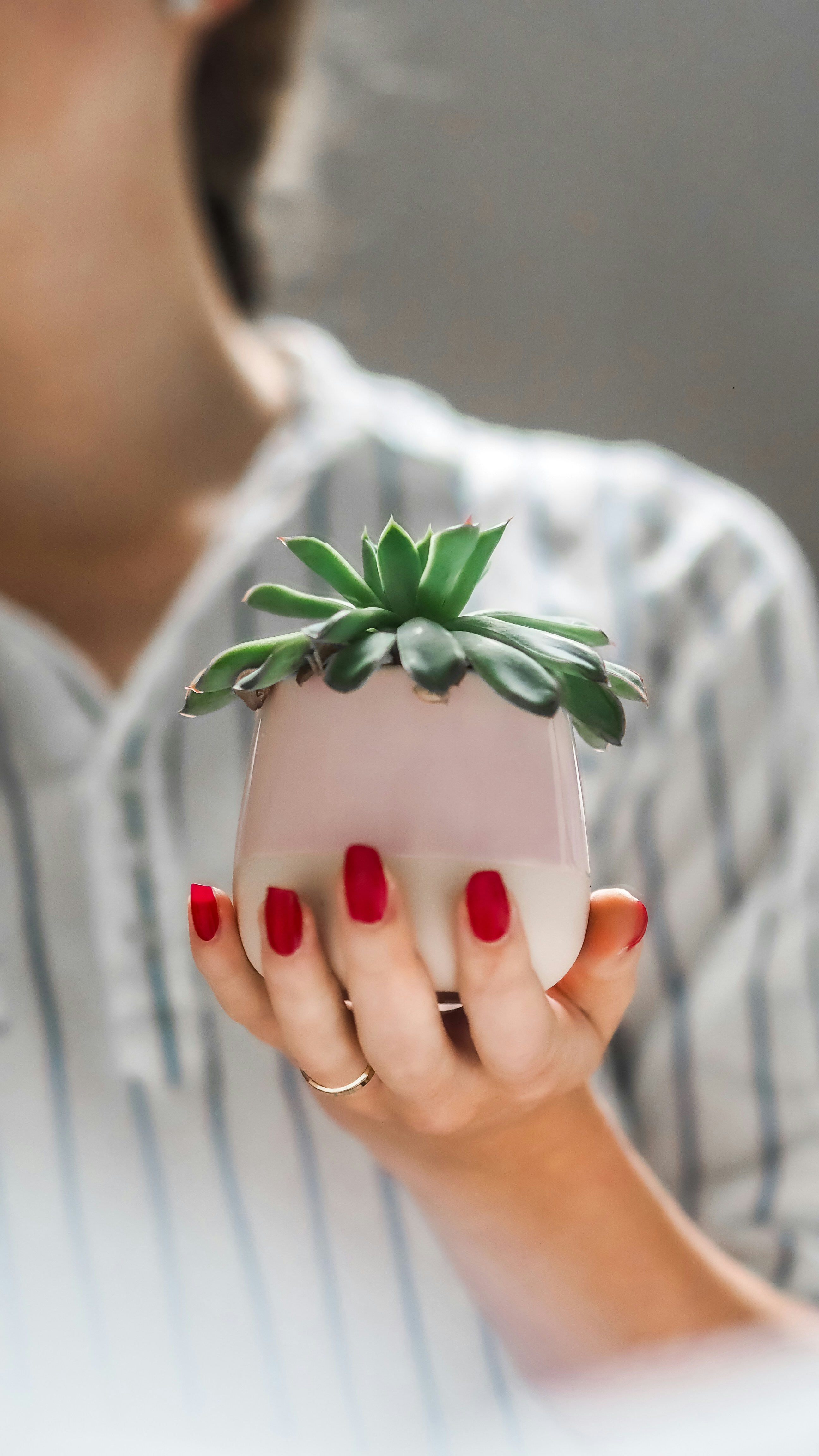 Cradle of Green: Succulent in a blush glass cup held by a hand with ruby nails
