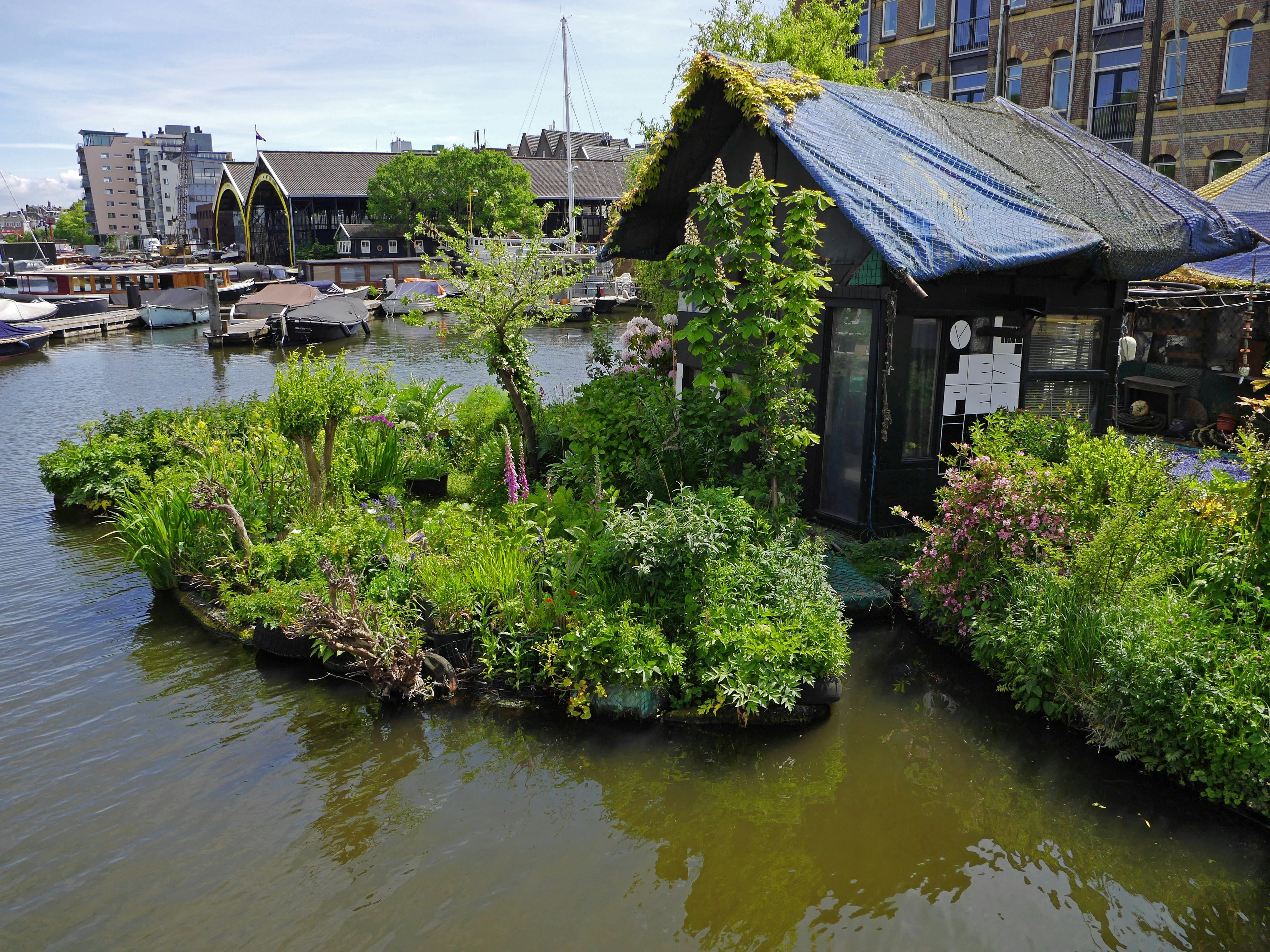Thatched Garden House Adrift on a City Canal