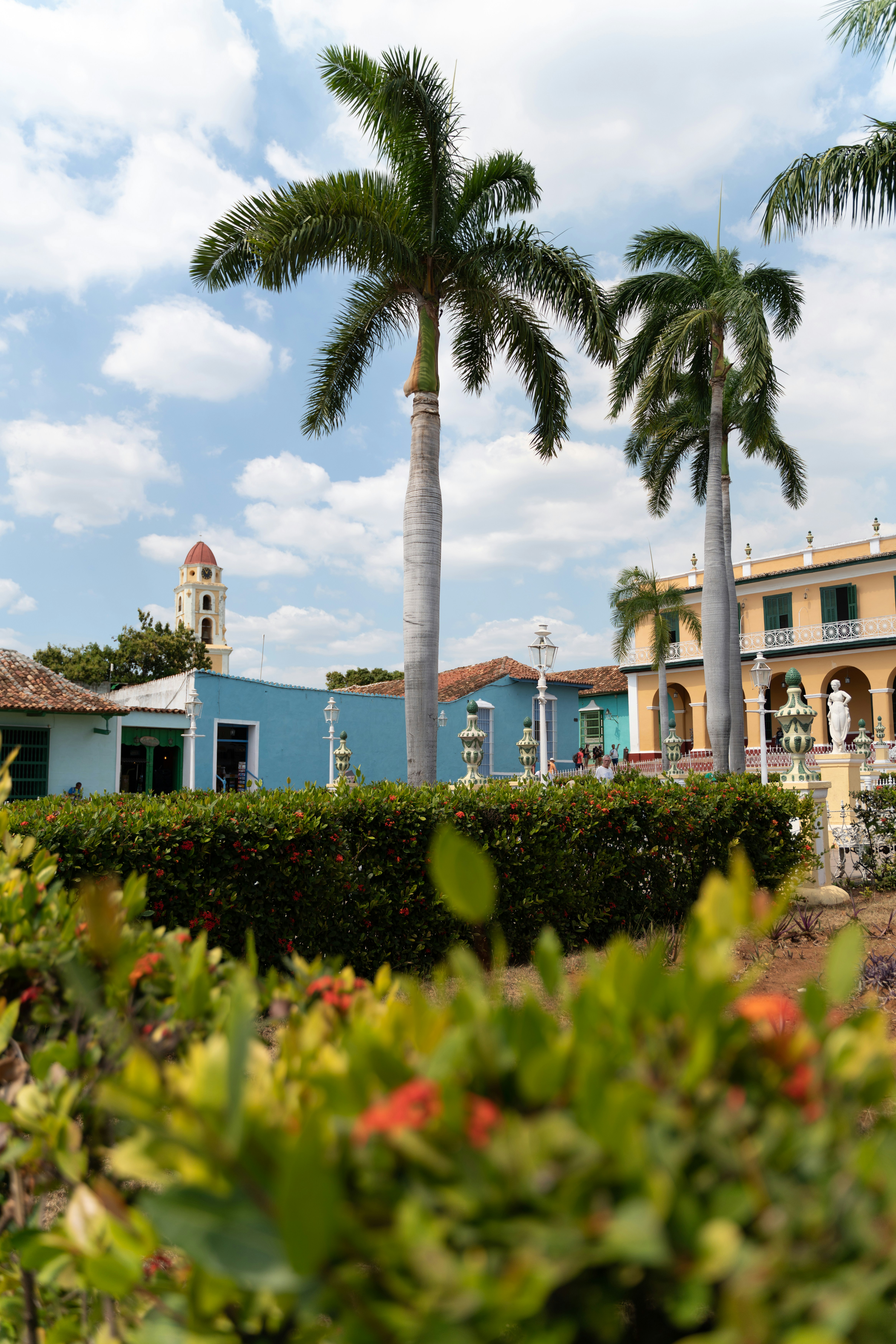 Palm Arches Over a Pastel Caribbean Plaza
