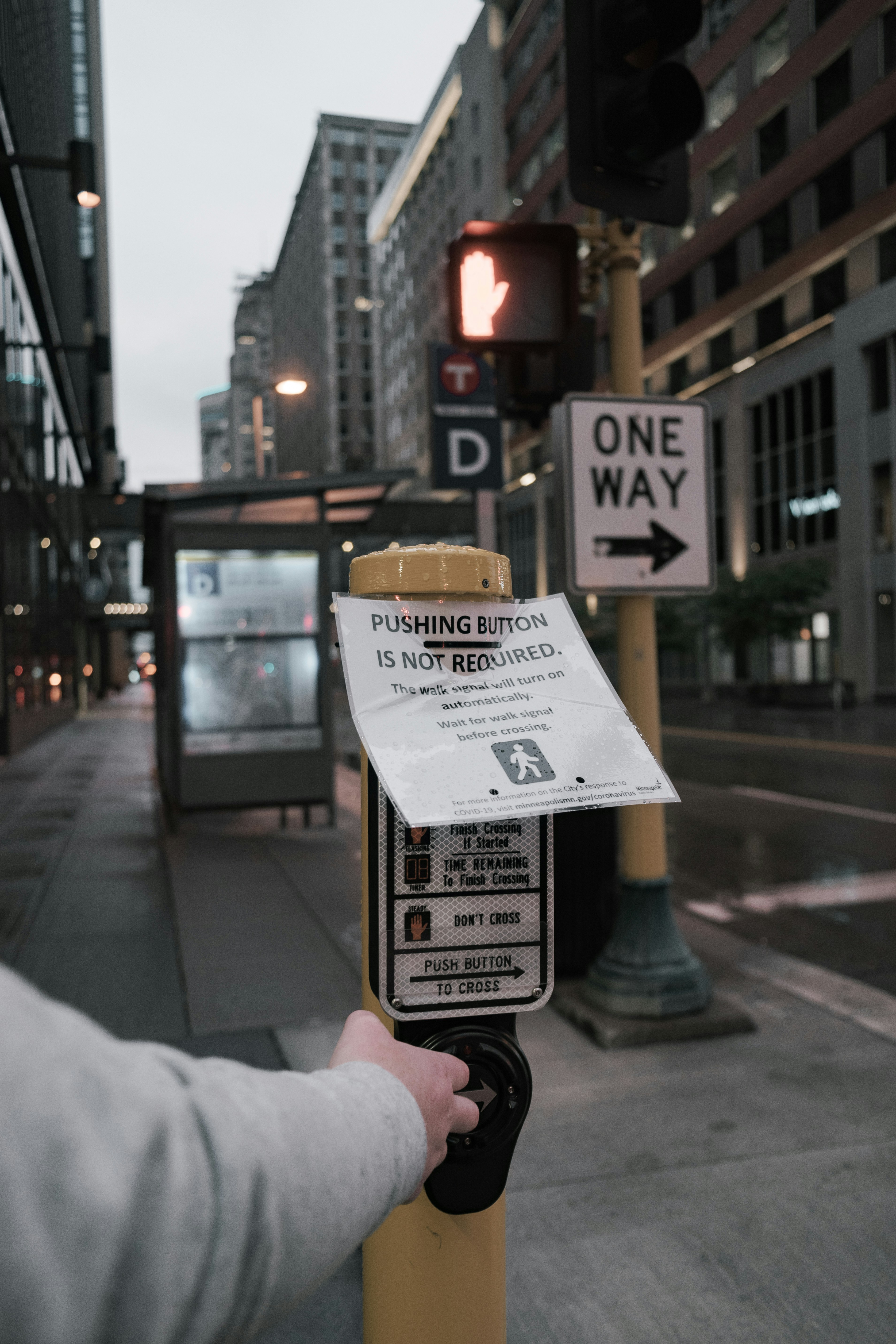 Urban Patience: Navigating the Crosswalks