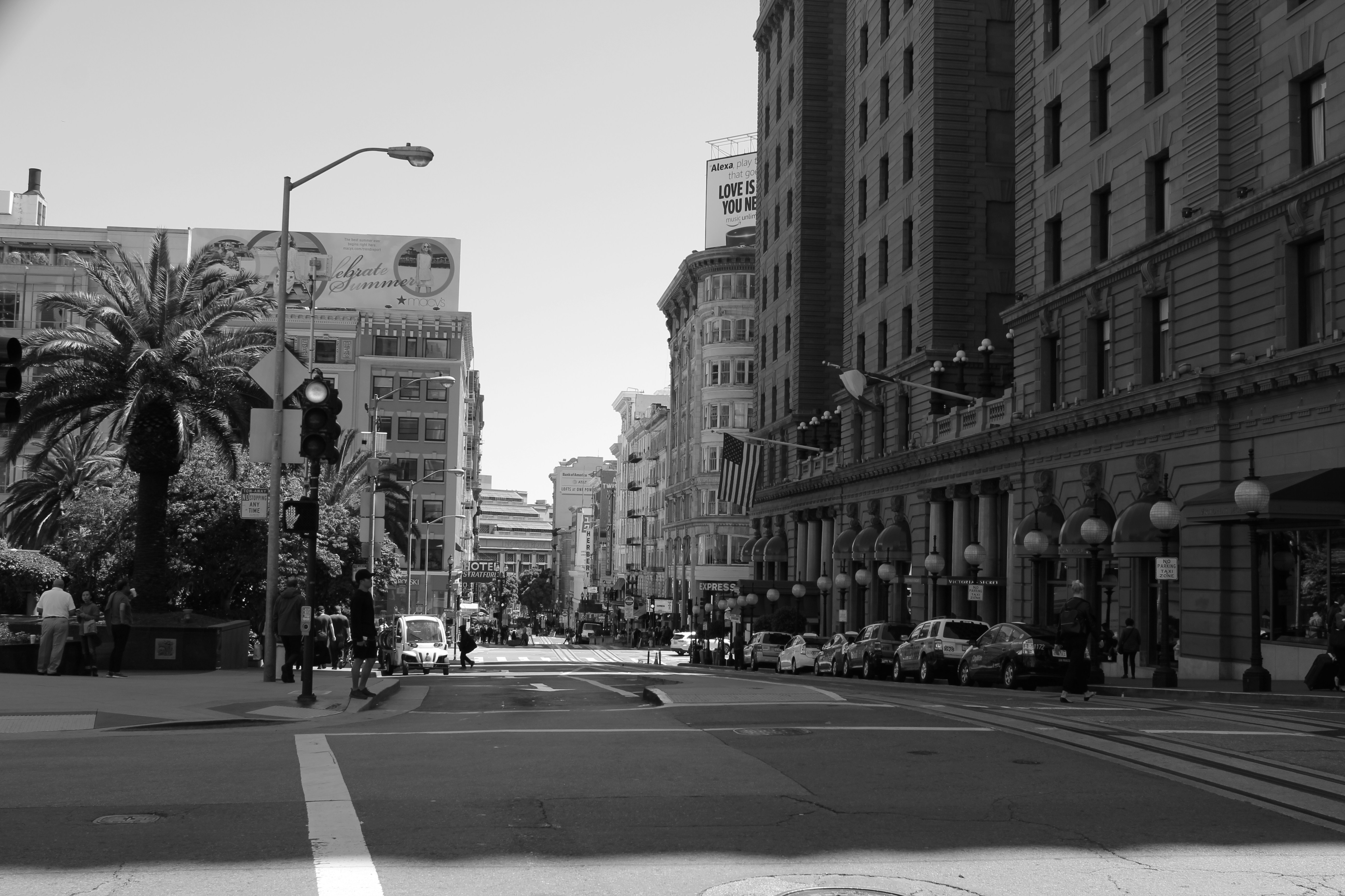 A bustling city street captured in black and white, showcasing palm trees and historic architecture lining the avenue.