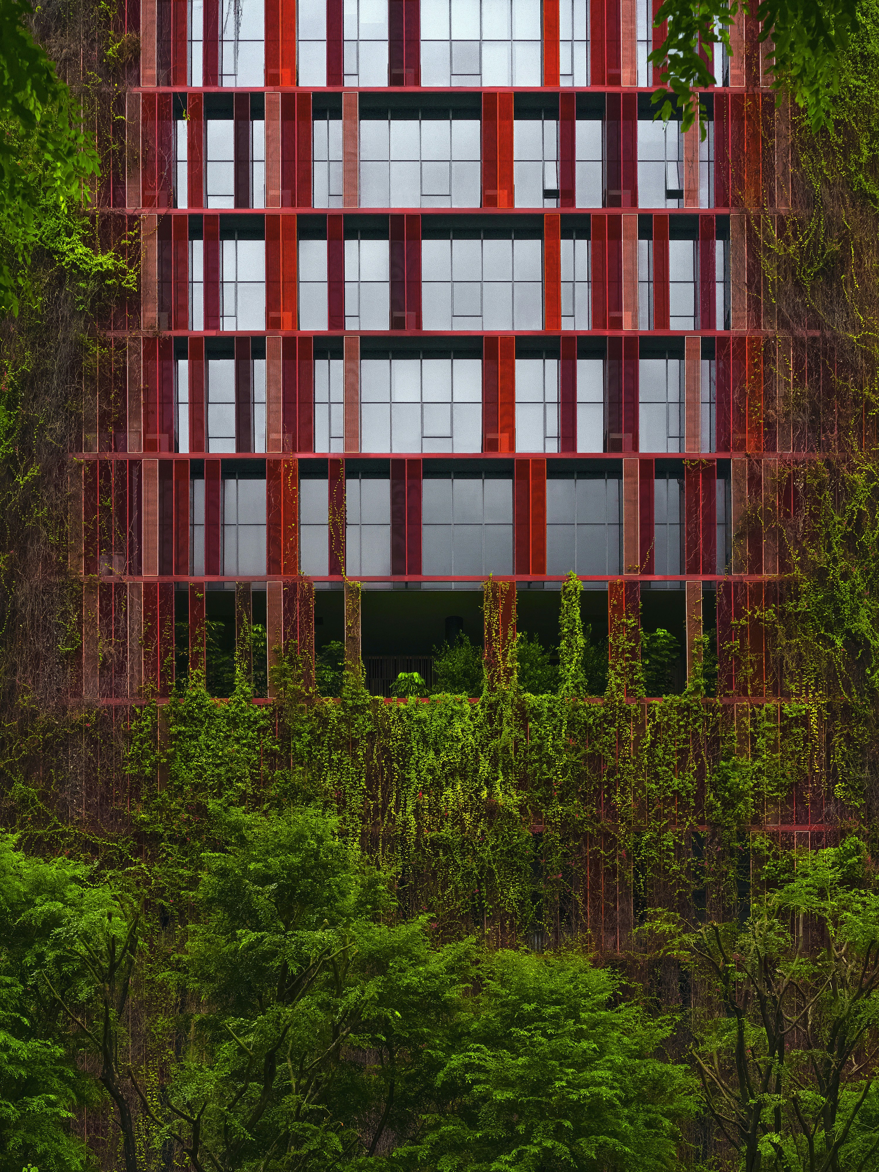 A modern building facade intertwined with vibrant green foliage, showcasing a harmonious blend of architecture and nature.
