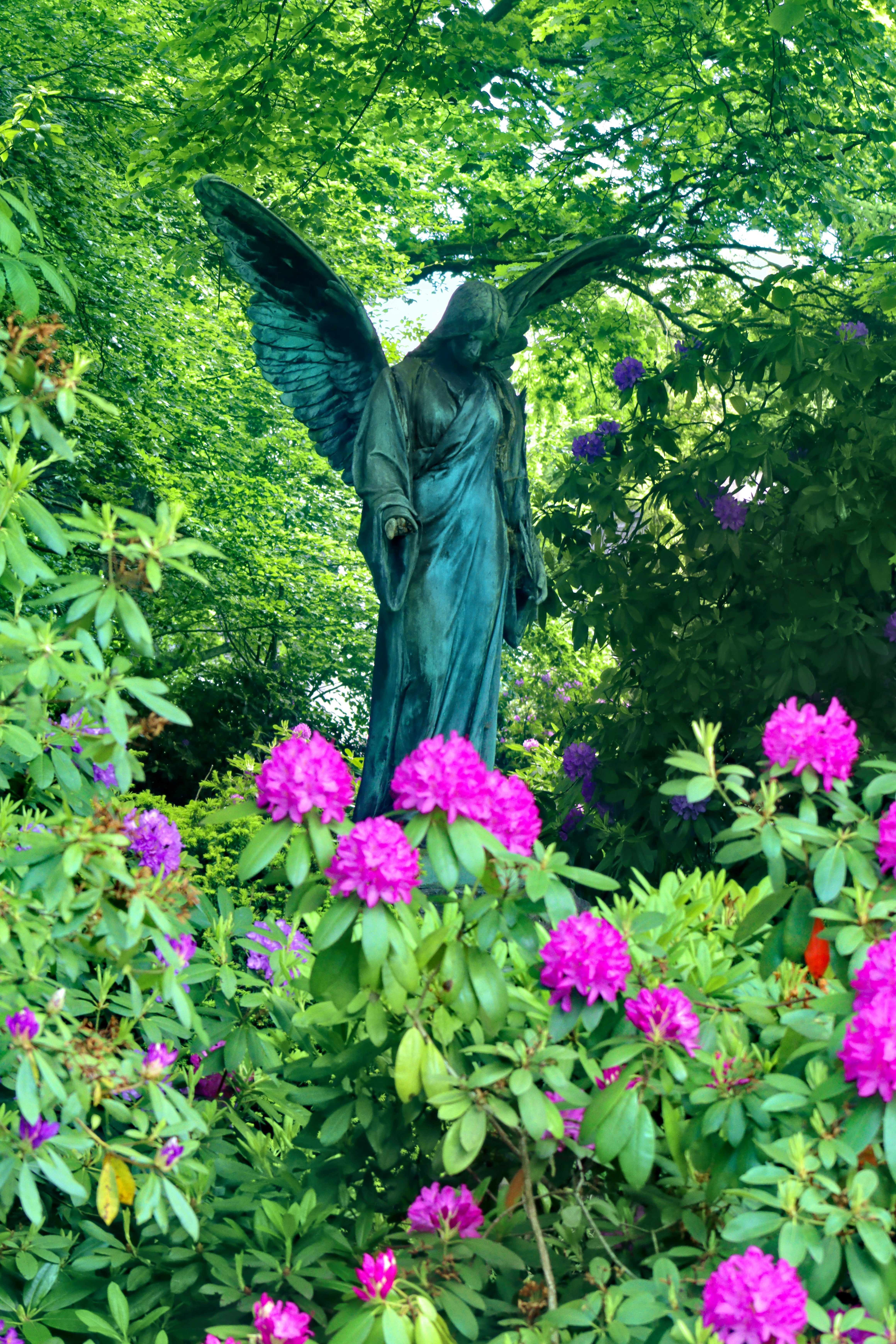 Verdant Sentinel: A Bronze Angel Framed by Magenta Rhododendrons Under a Leafy Canopy