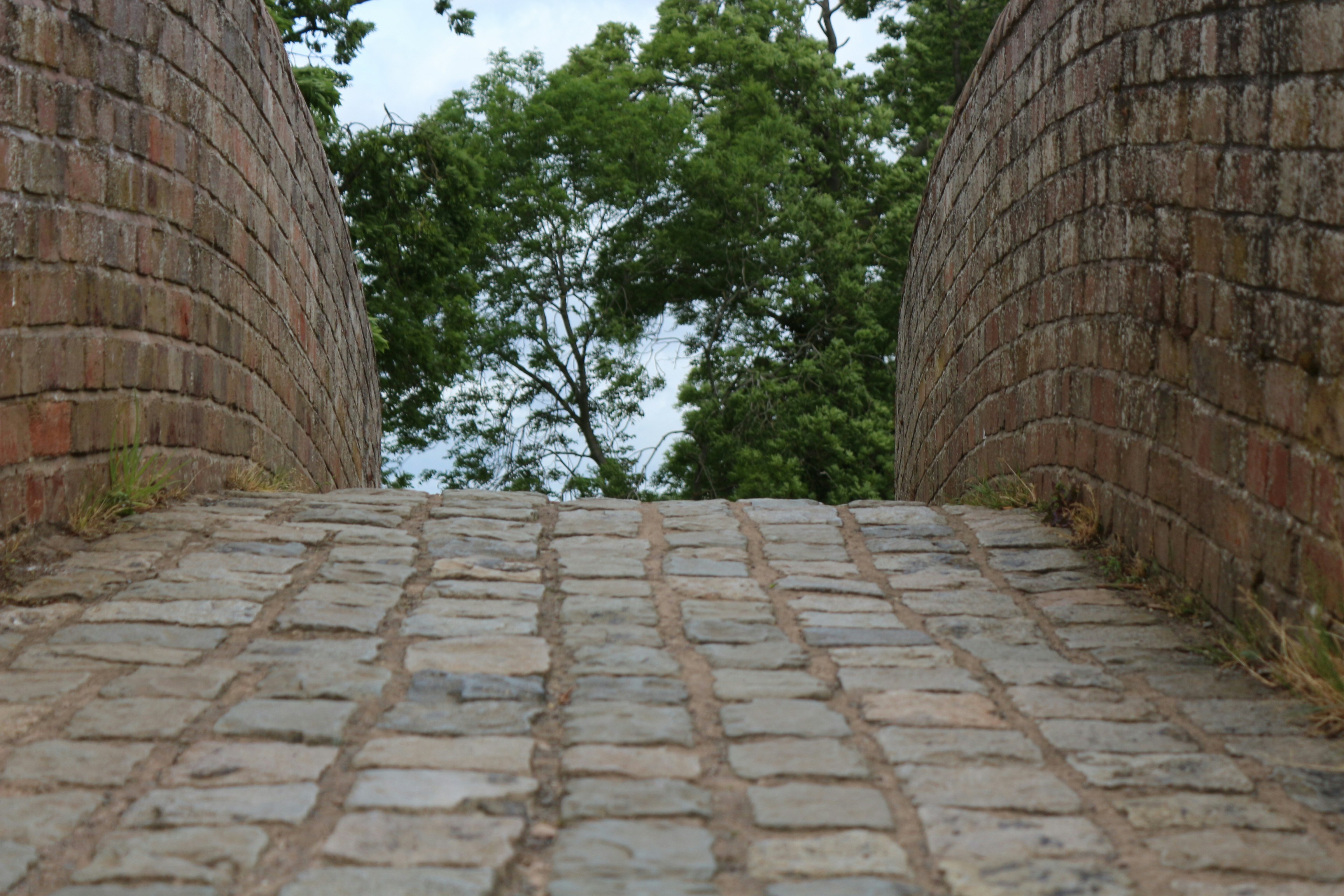 Photo by Lidia Nikole with Canon EOS 700D