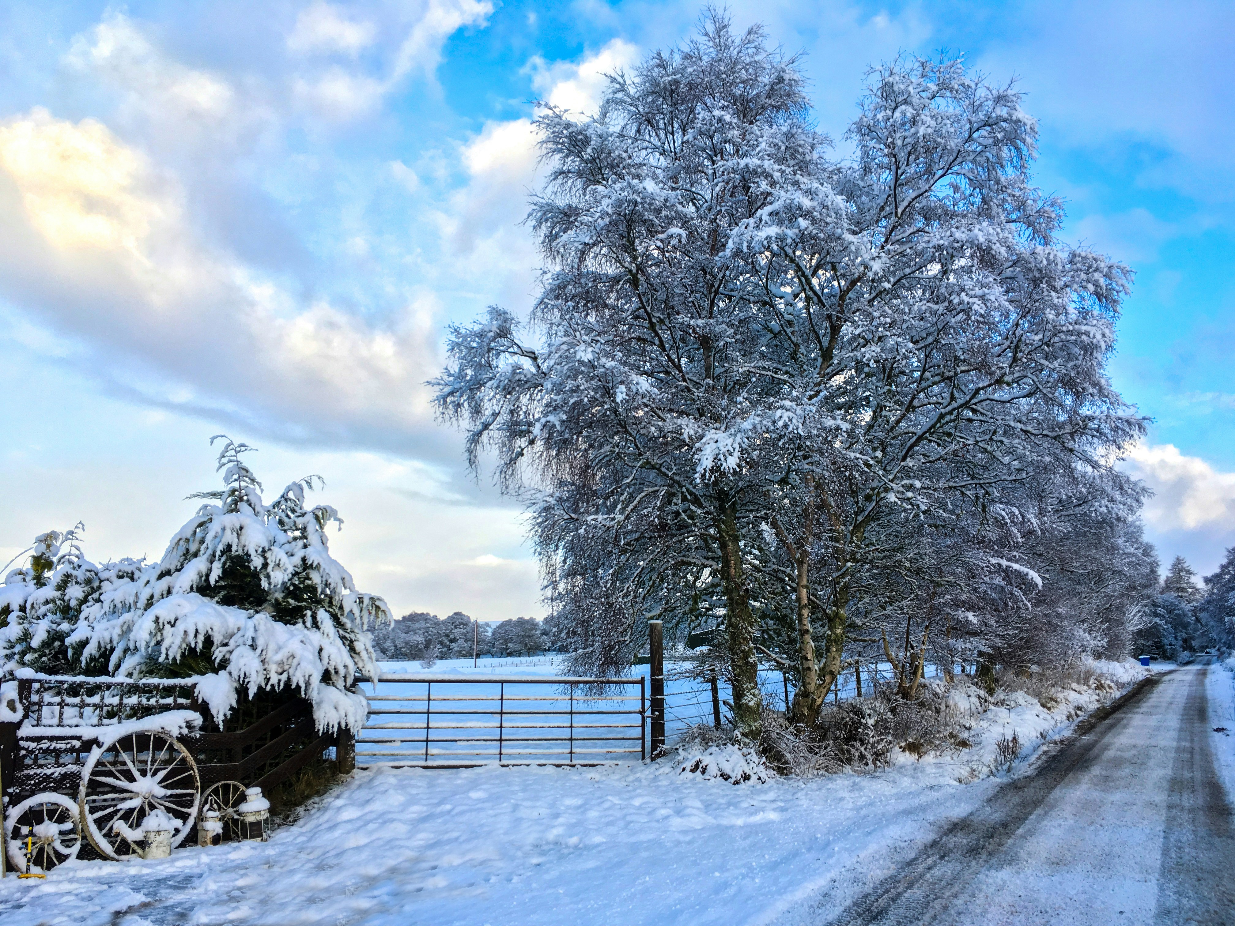 Winter Serenity on a Countryside Path