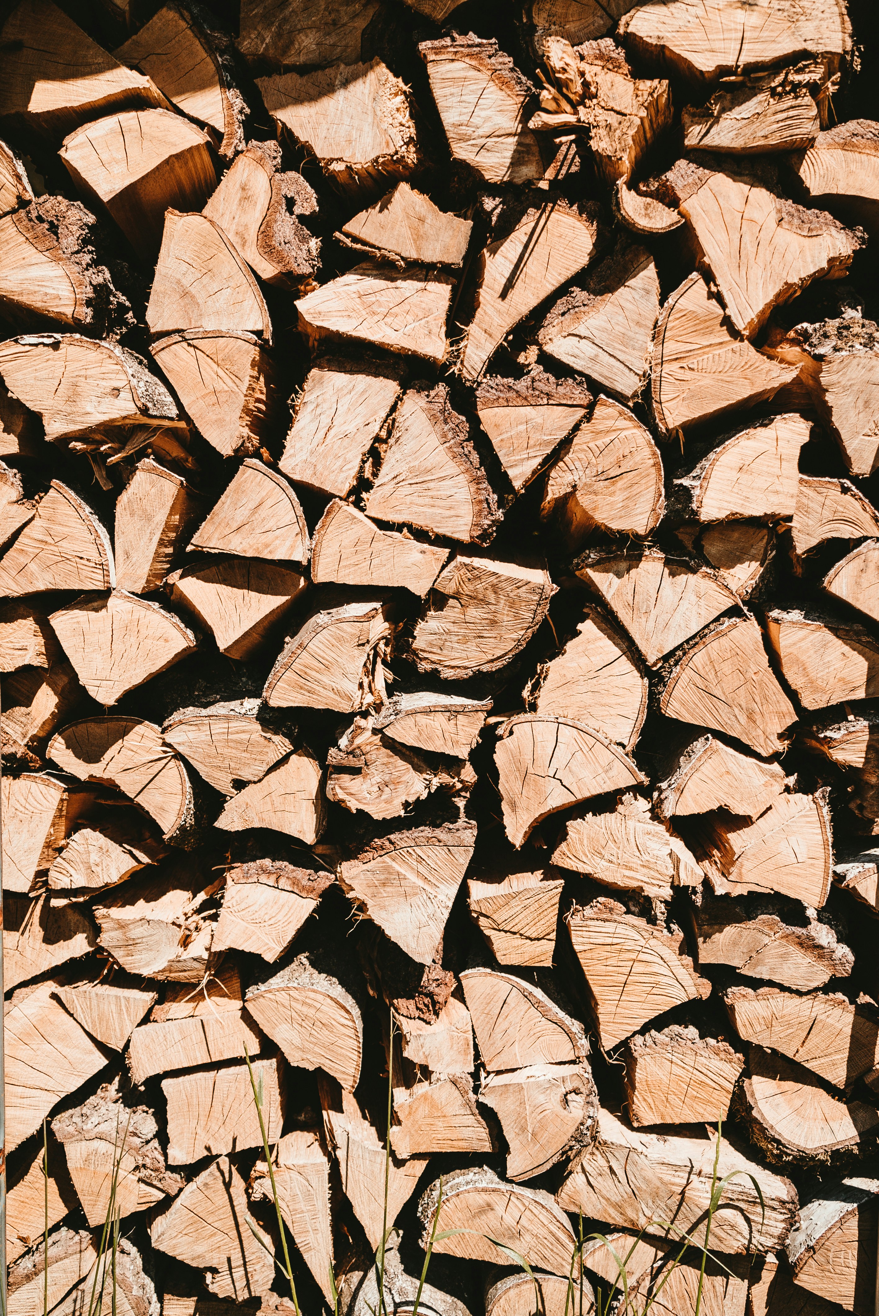 Brown and black tree log photo – Free Pattern Image on Unsplash