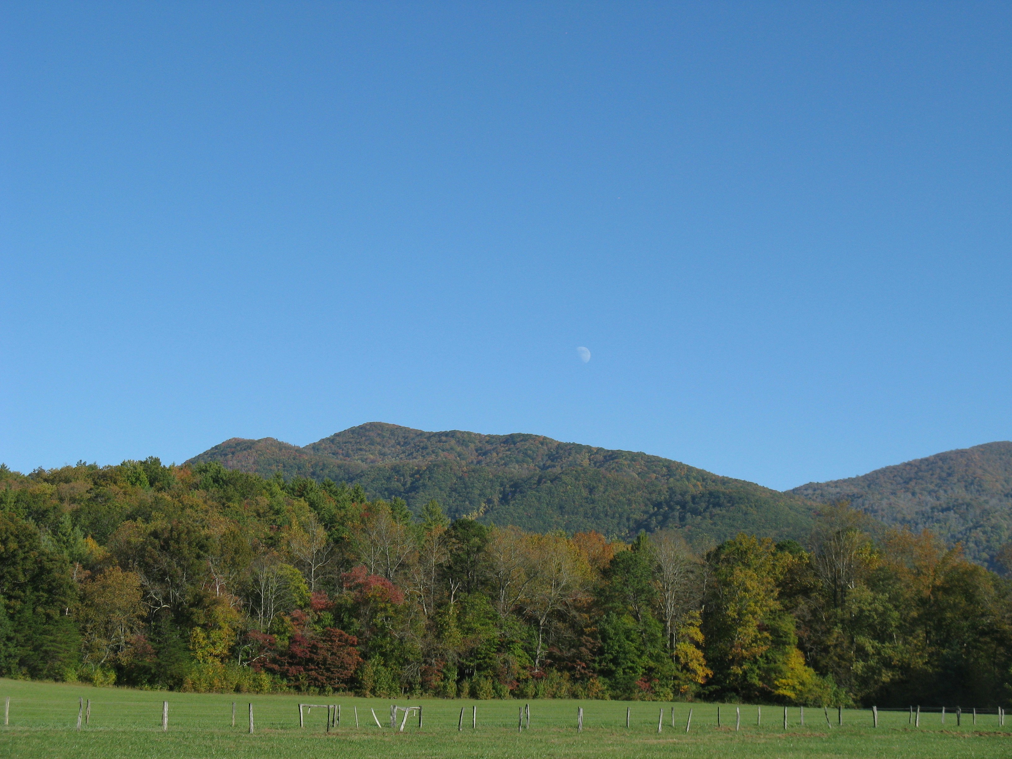 Rolling hills adorned with vibrant autumn foliage under a clear blue sky, with a hint of the moon peeking above the mountains.