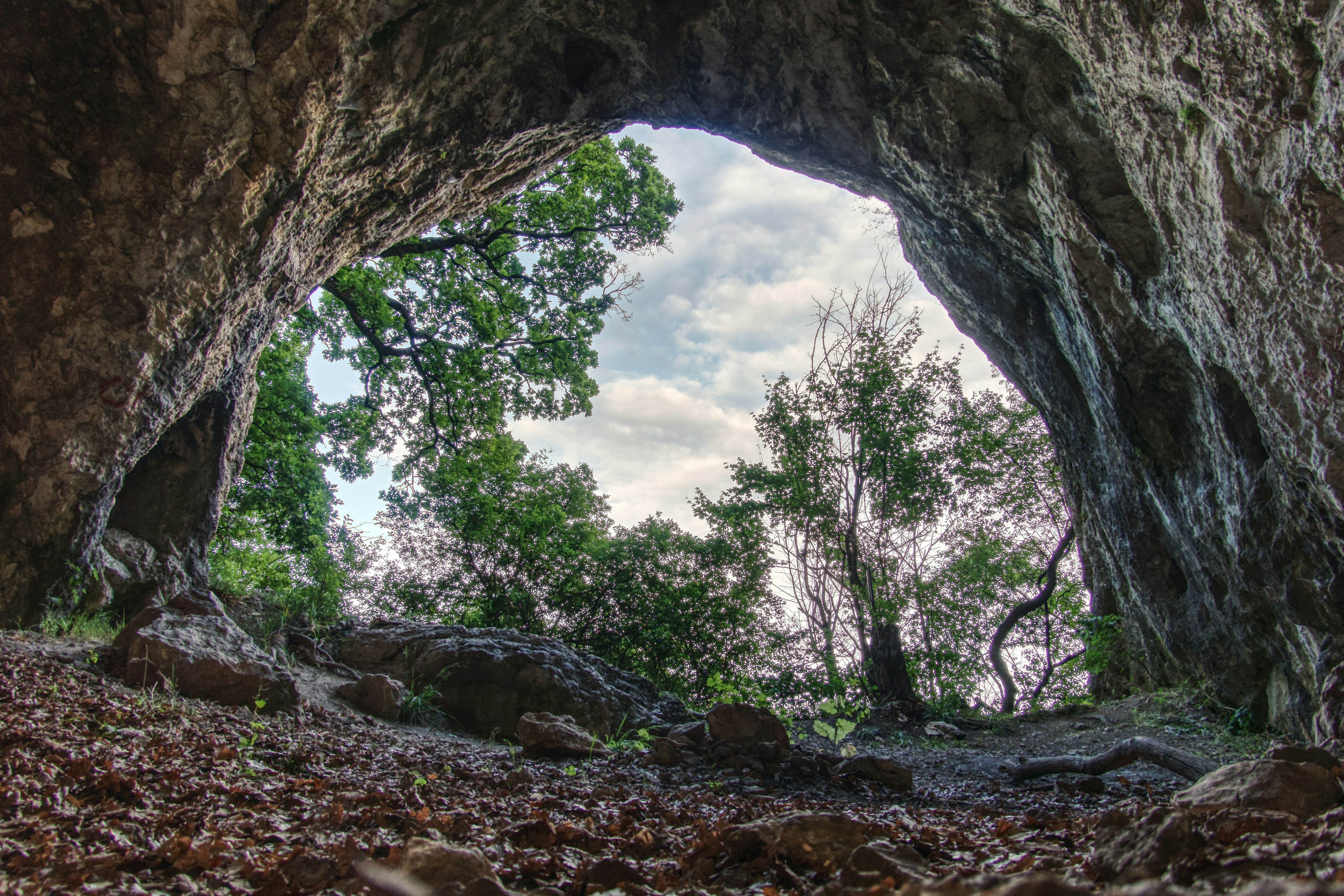 Cave entrance framing vibrant green trees and a cloudy sky.