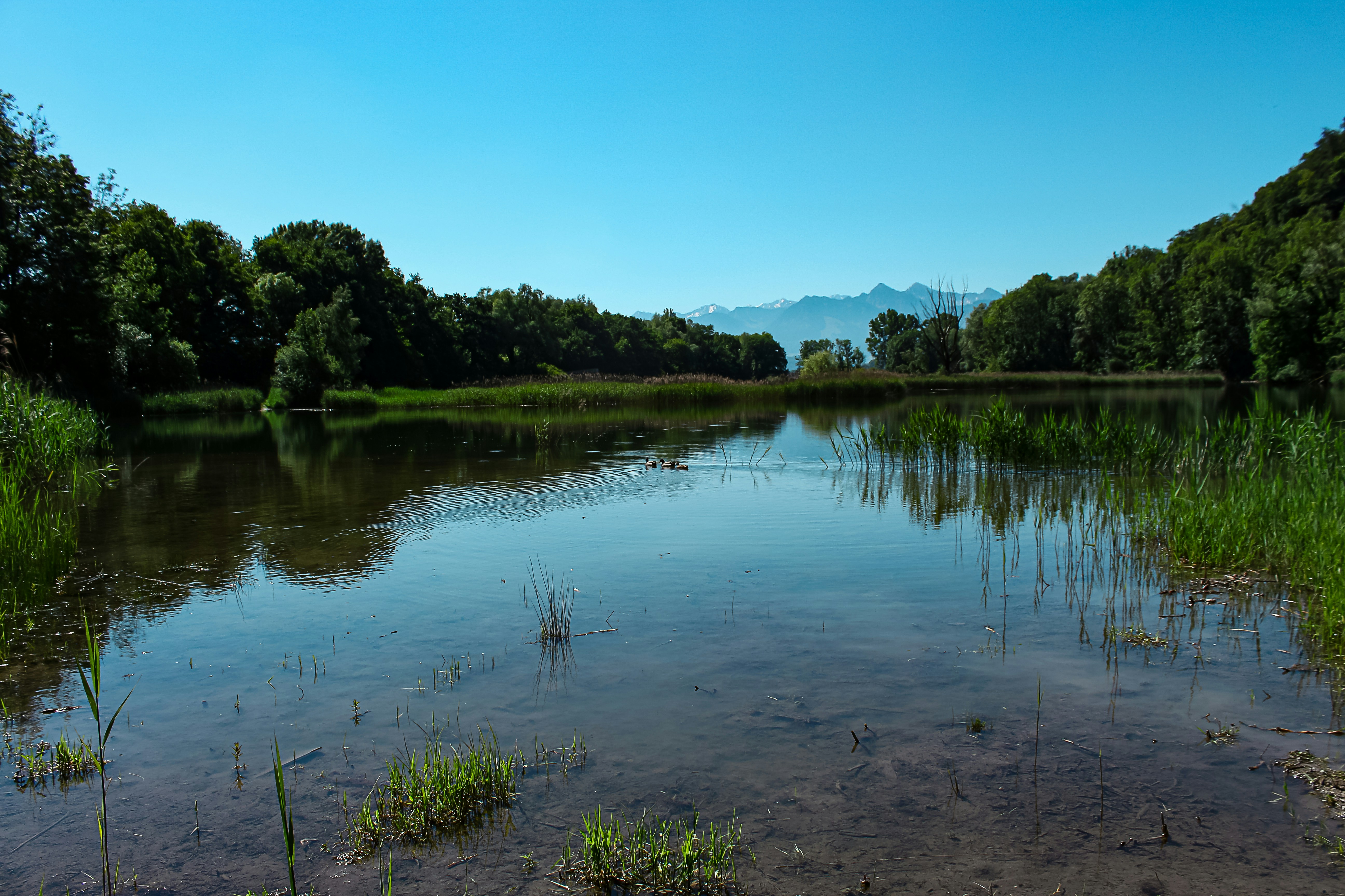 Tranquil waterway reflecting lush greenery and distant mountains under a clear blue sky.