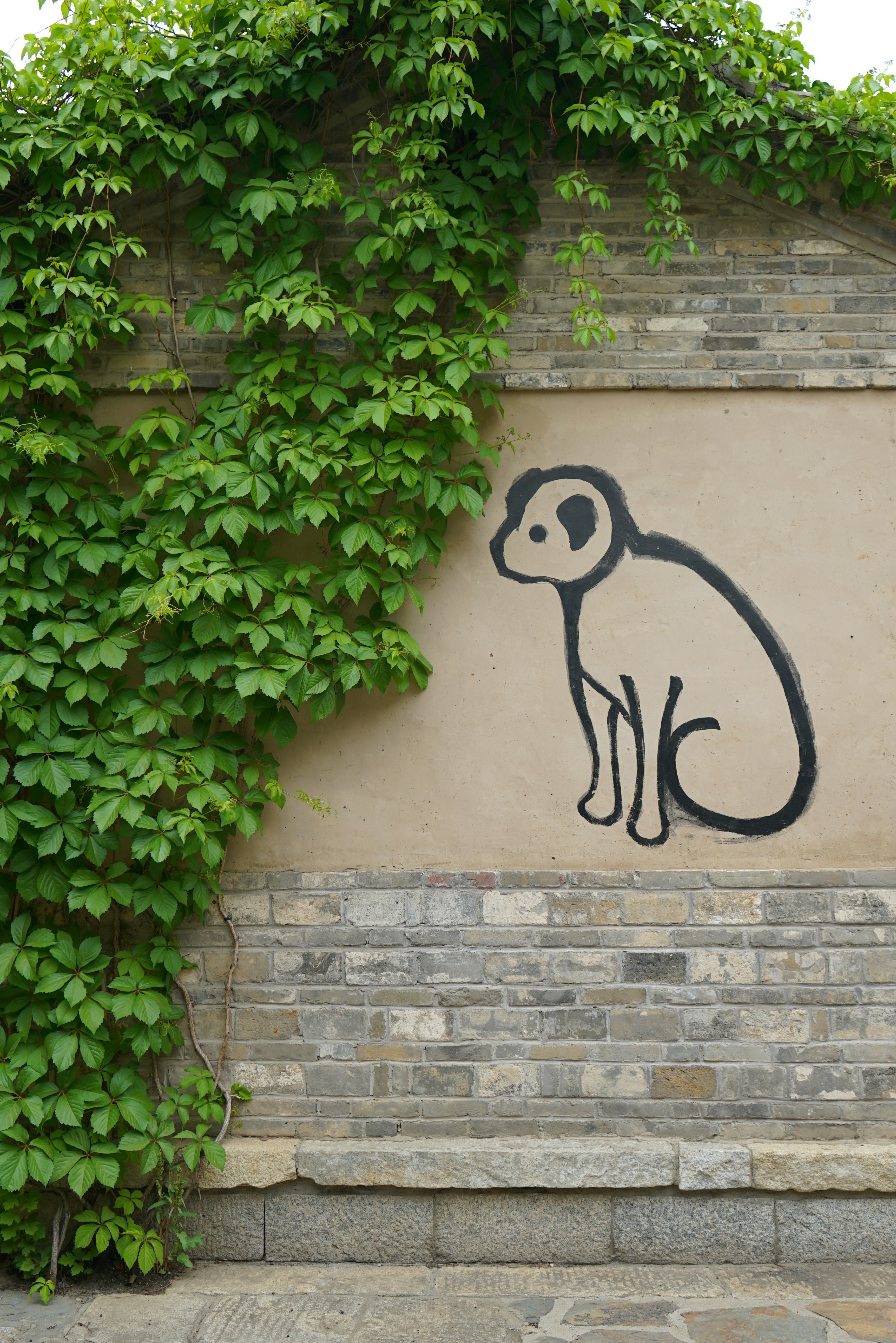 A playful black outline of a sitting dog painted on a textured wall, partially obscured by lush green vines. The scene conveys a blend of art and nature.