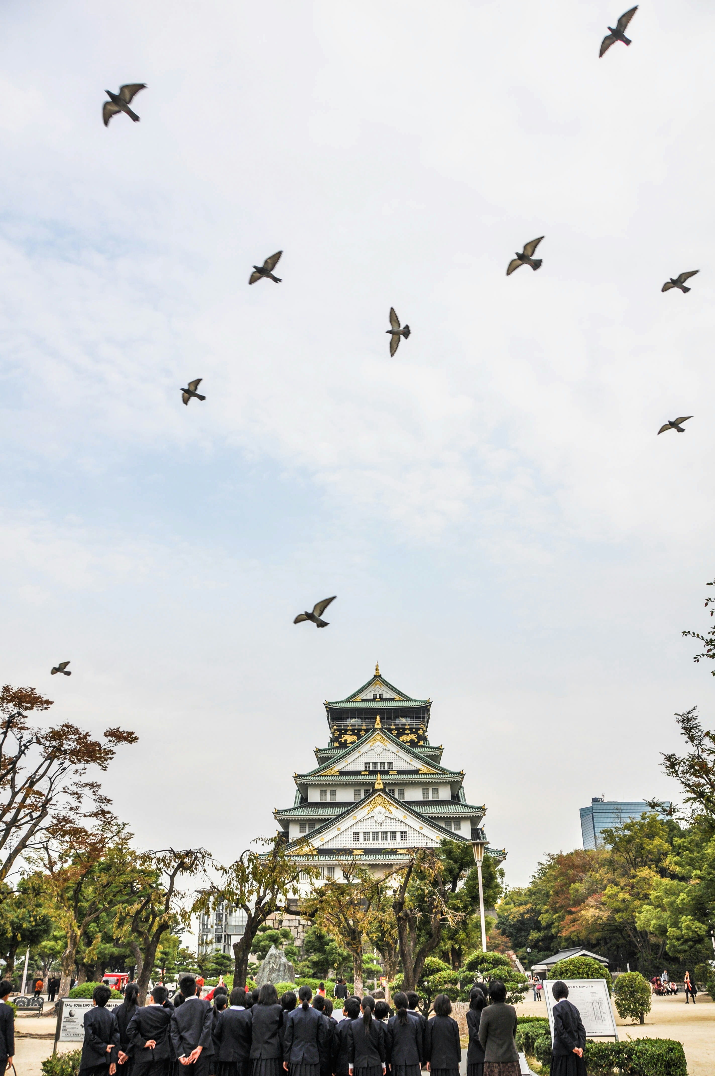 Osaka Castle Convergence: Suits, Stonework, and a Sky of Birds