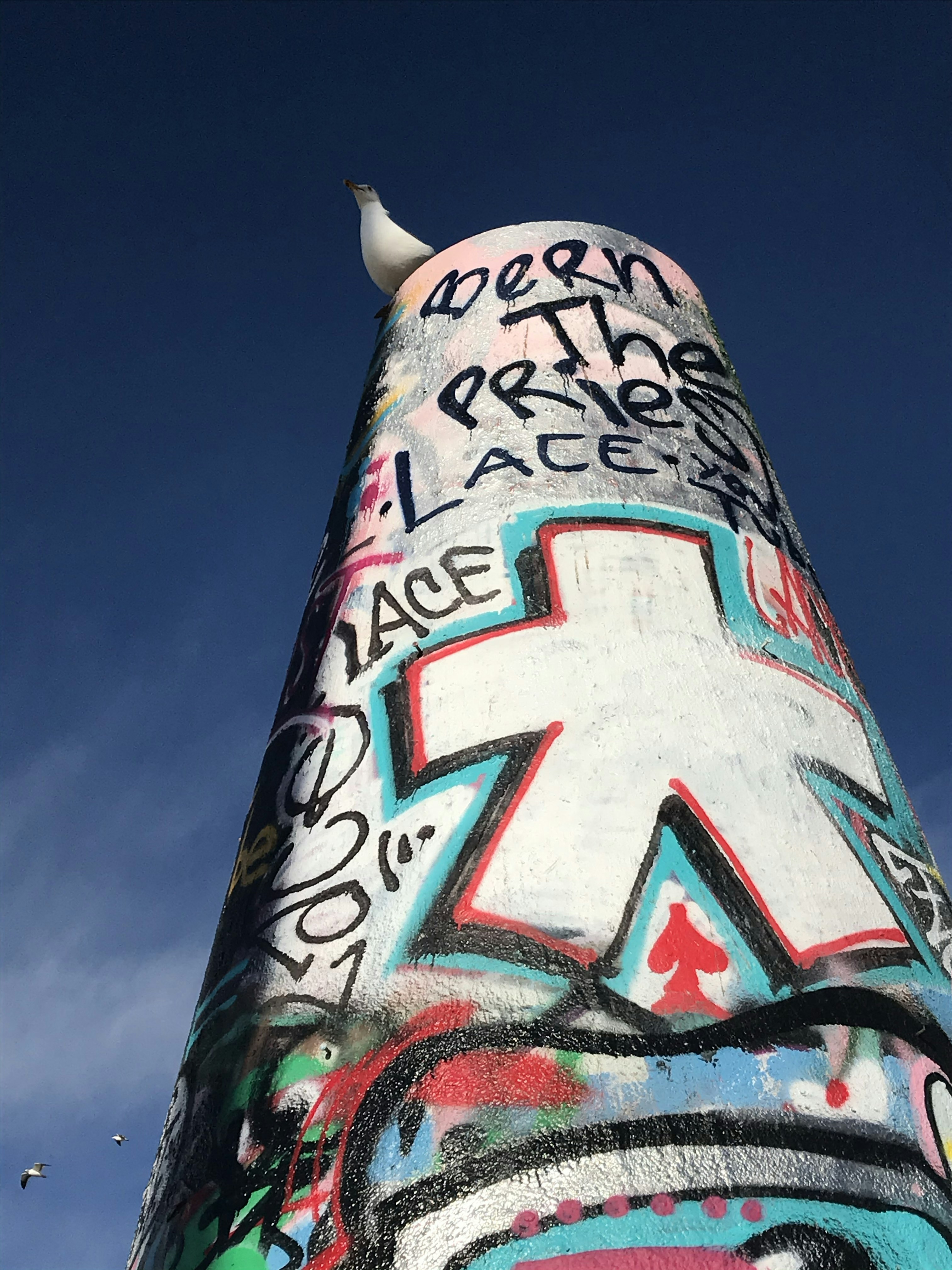 Seagull atop a graffiti-draped column under a cobalt sky