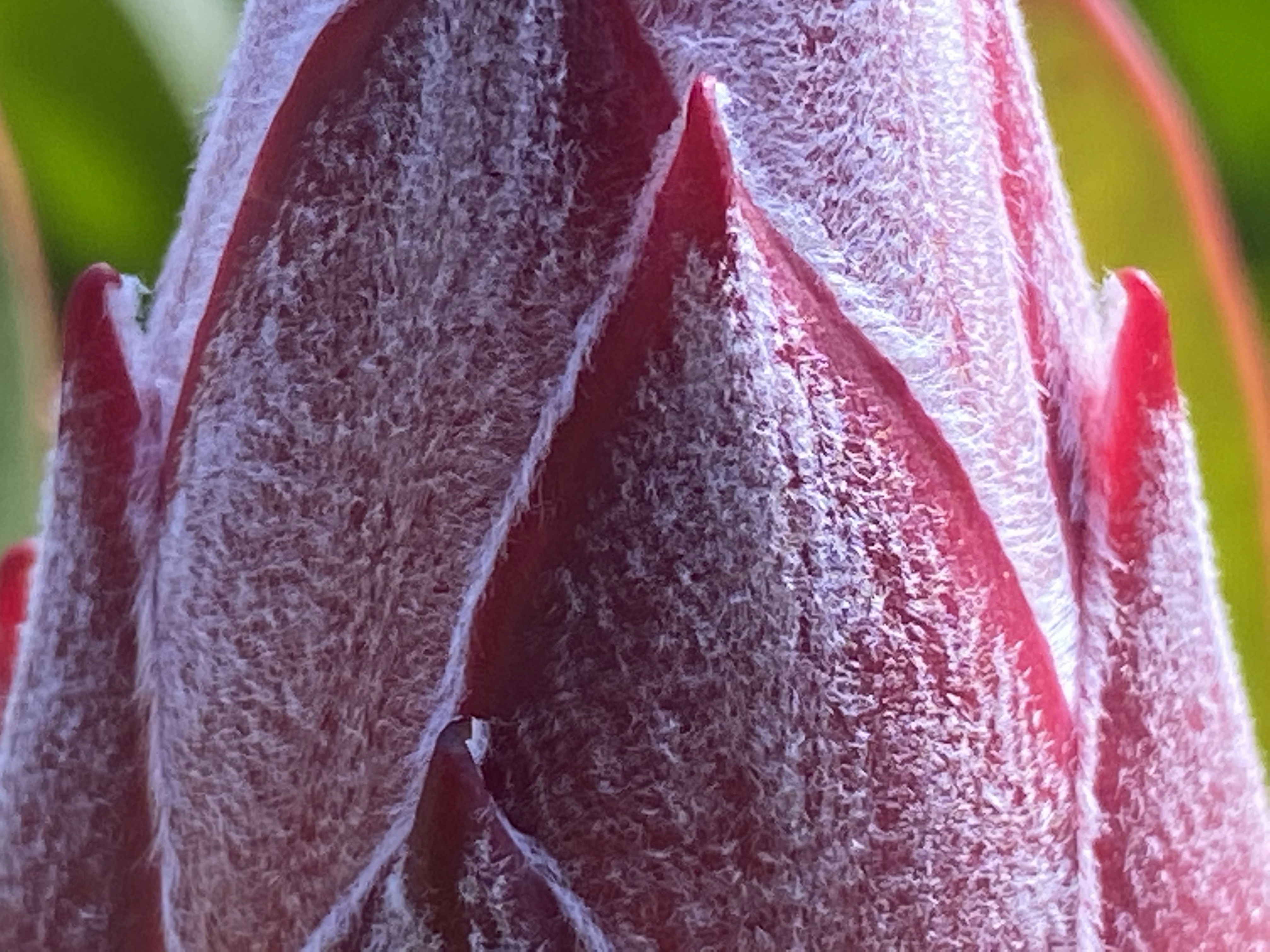 Franki Chamaki (@franki) | Unsplash Photo Community