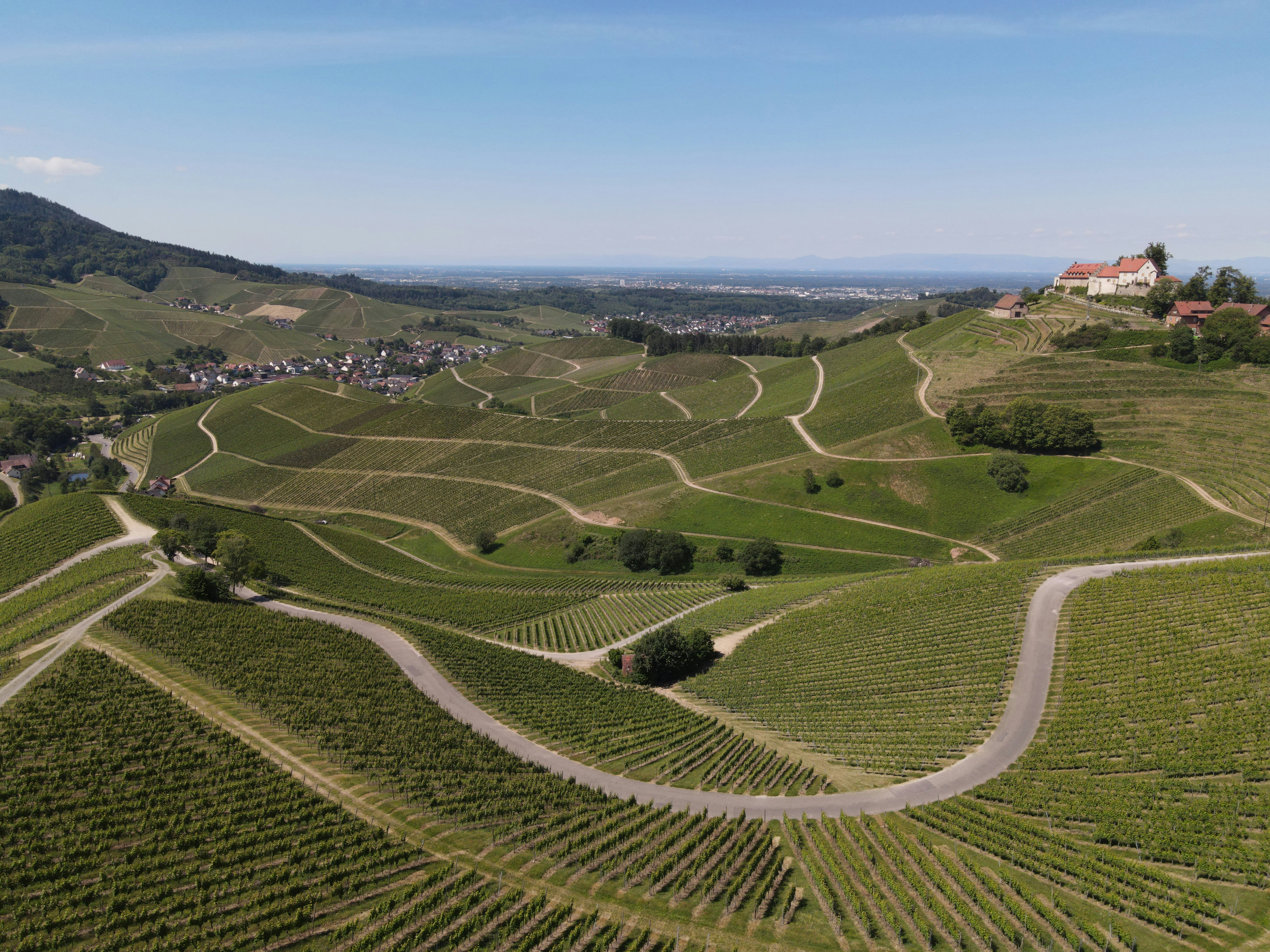 Thunder Frog (@thunderfrog) | Komunitas Foto Unsplash