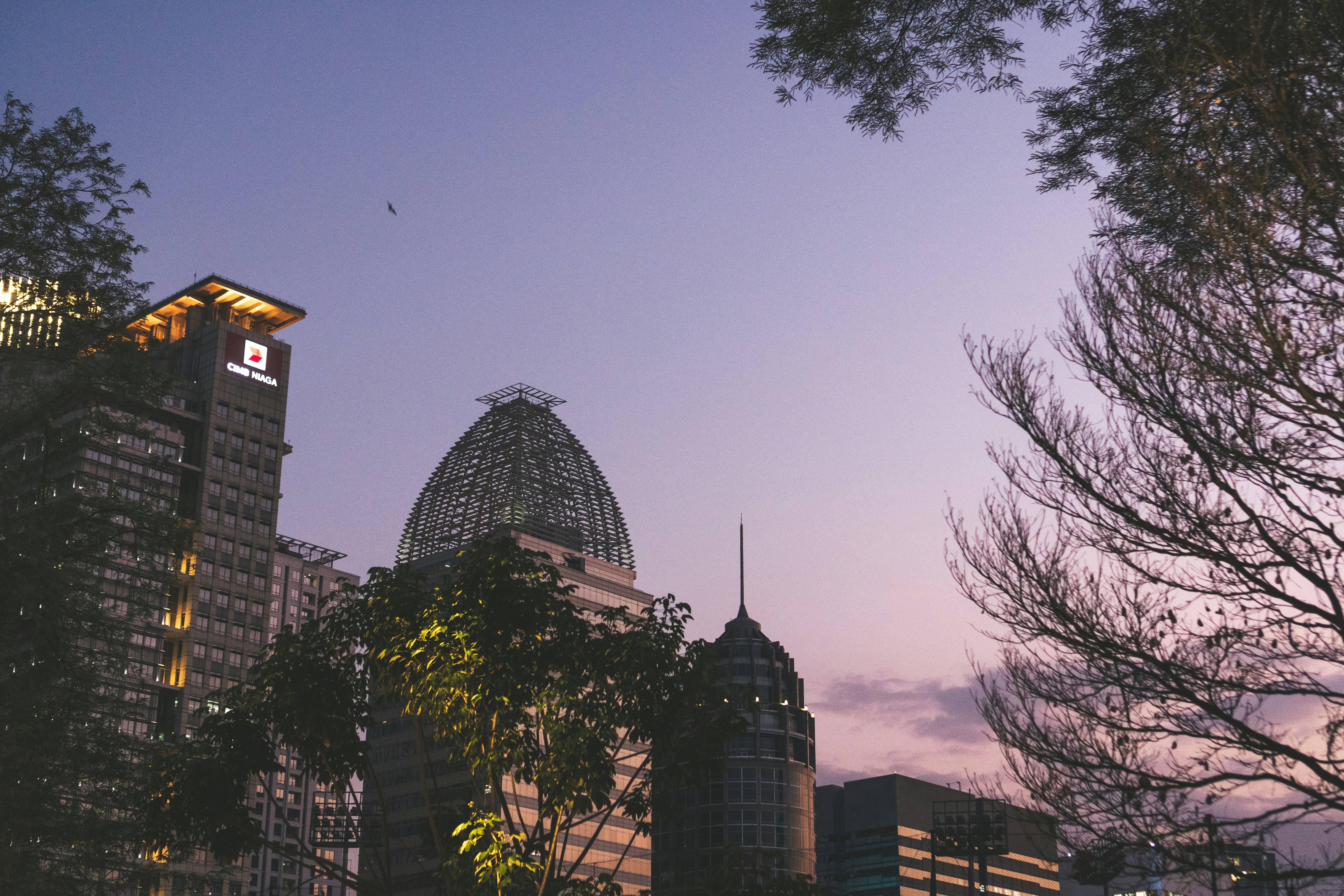 Twilight Silhouettes Over Urban Heights