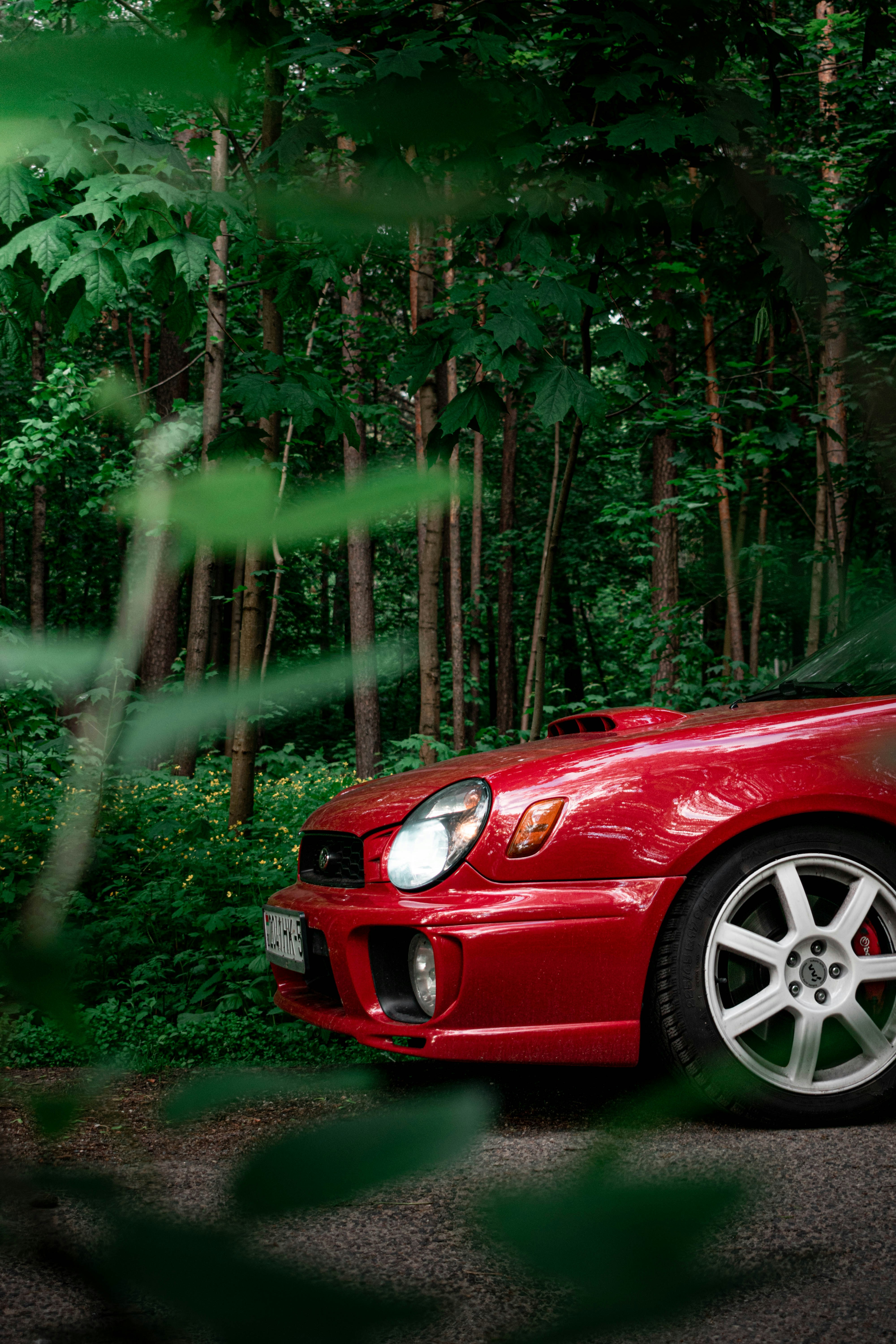 30,000+ Car In Forest Pictures | Download Free Images on Unsplash